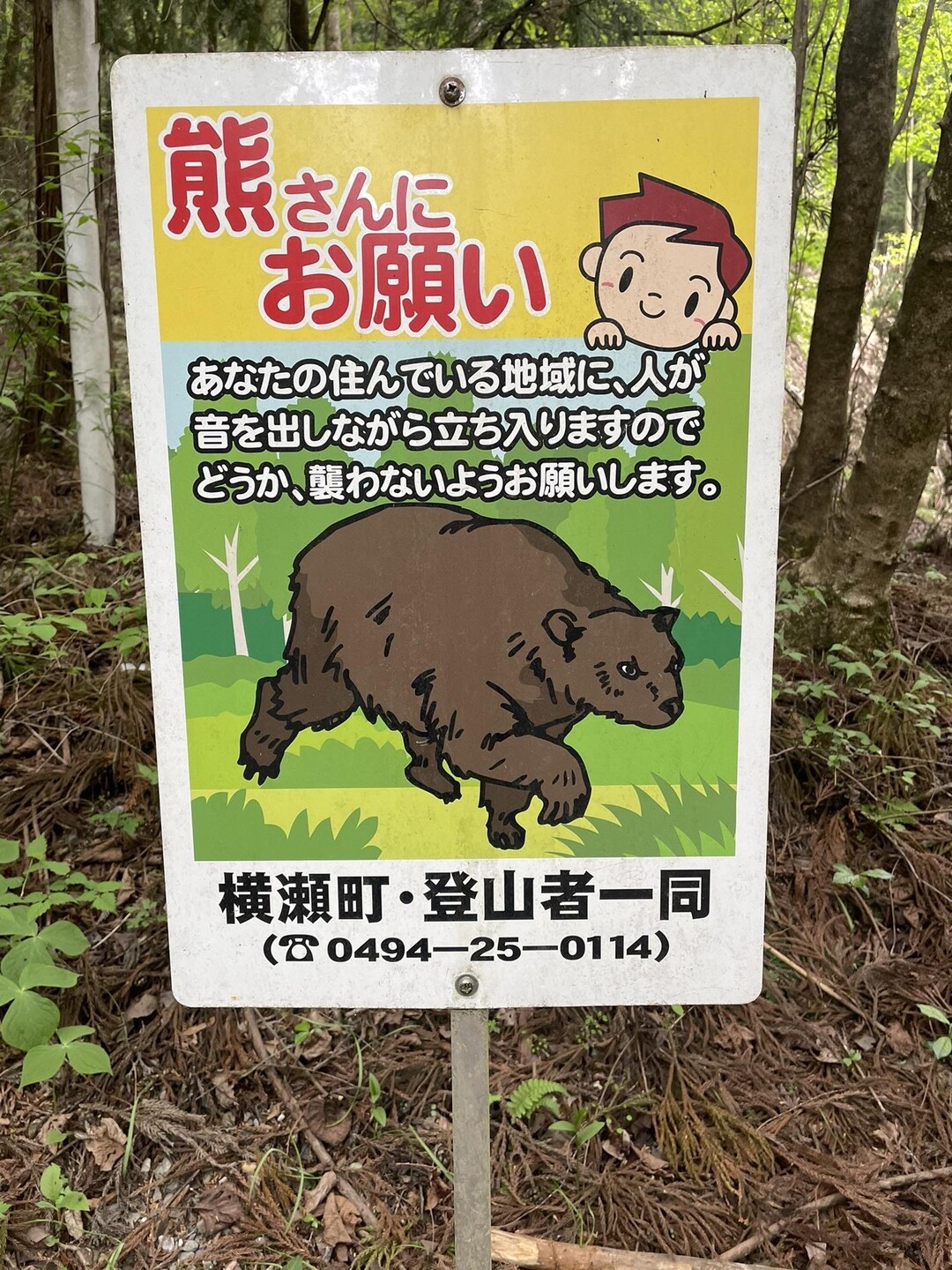 武甲山 / La Rayaさんの武甲山・伊豆ヶ岳・小持山の活動データ | YAMAP / ヤマップ