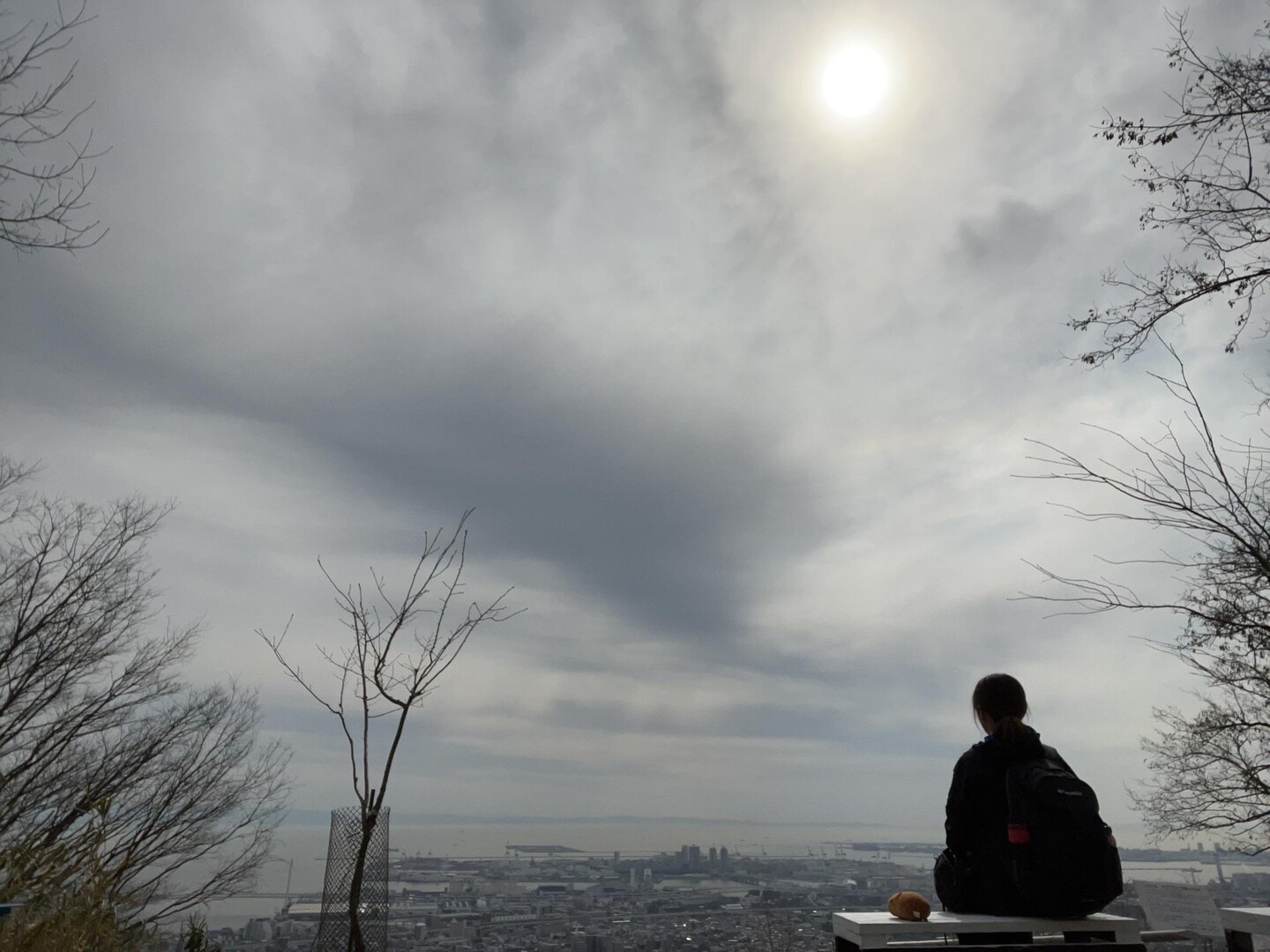 保久良梅林・金鳥山👱‍♀️🌤 / Yuka-pi 𖤣𖥧𖥣𖡡𖥧𖤣さんの六甲山・長峰山・摩耶山の活動データ | YAMAP / ヤマップ