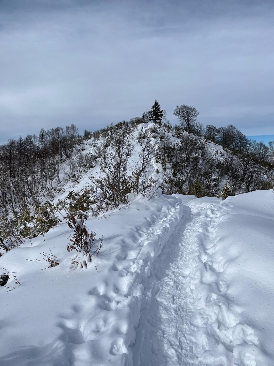 今期初の雪遊び〜猪臥山 / clearkkさんの猪臥山の活動データ | YAMAP / ヤマップ