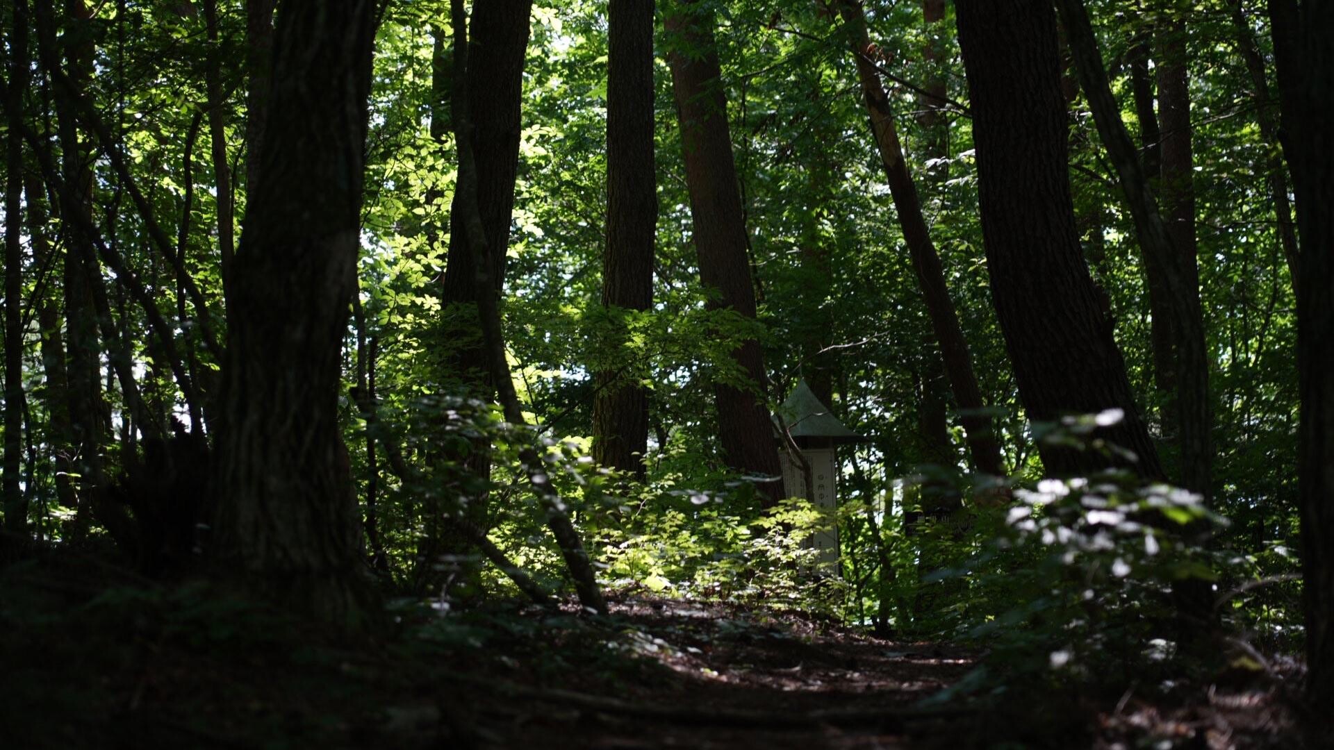 網掛山 / Yoshi.Kさんの網掛山の活動データ | YAMAP / ヤマップ