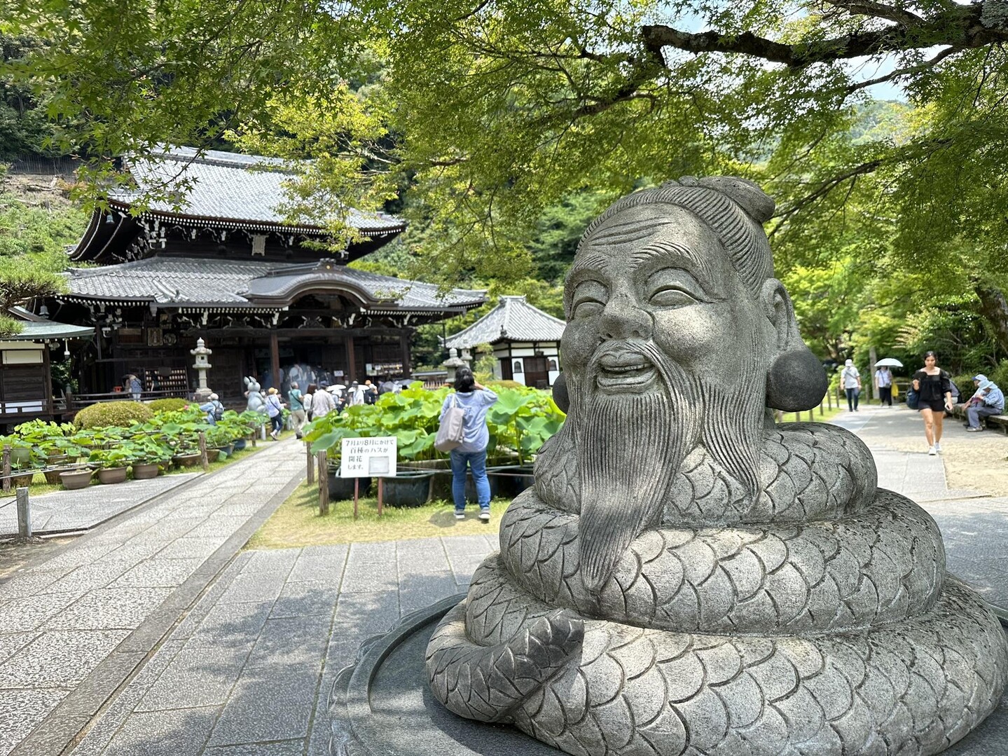 ウォーキング-2023-06-19 三室戸寺 / yumieさんのウォーキングの活動データ | YAMAP / ヤマップ