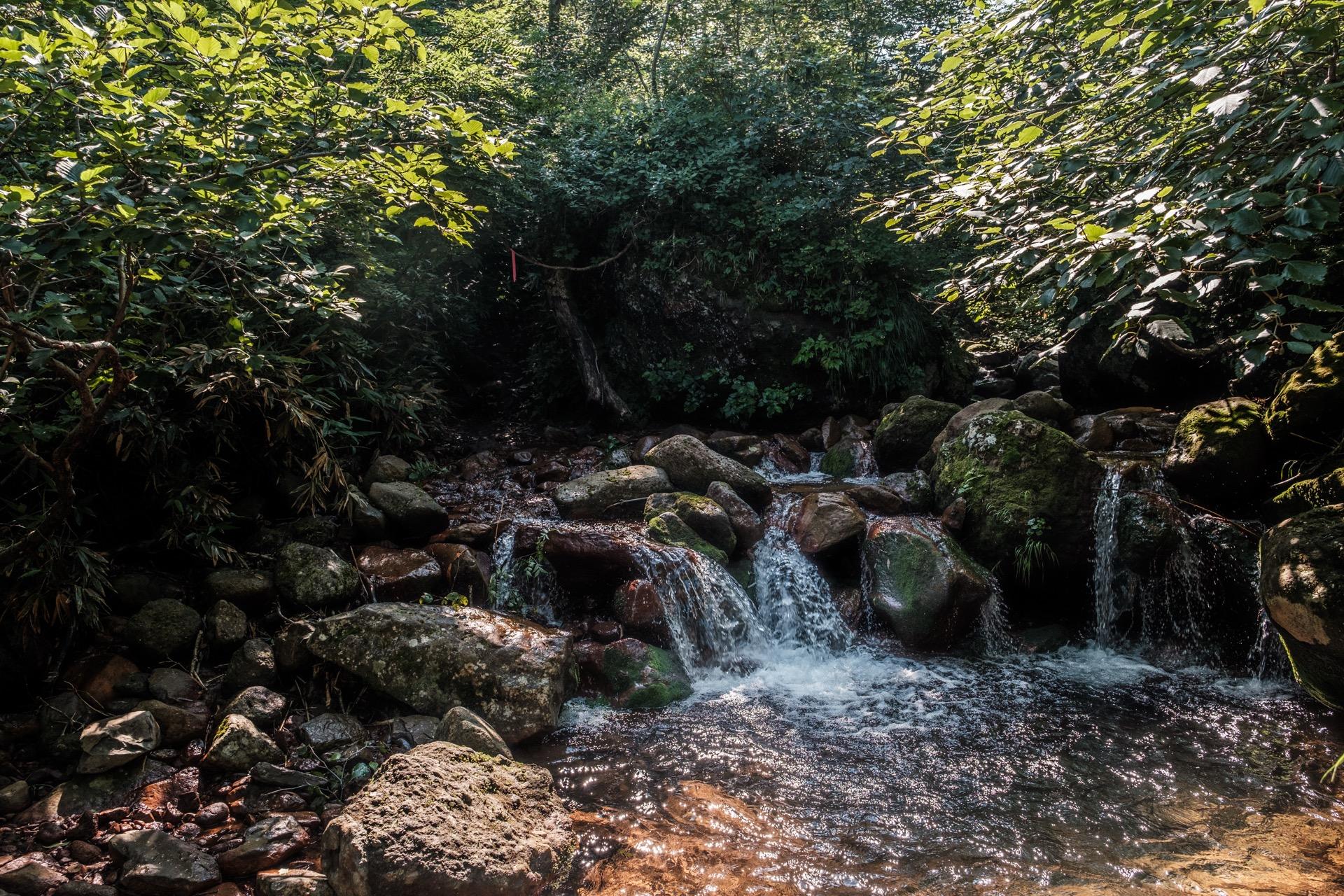 1ヶ月北海道旅の3座目‼️予想に反して楽しすぎた斜里岳⛰️ / Endo Shinyaさんの斜里岳の活動データ | YAMAP / ヤマップ