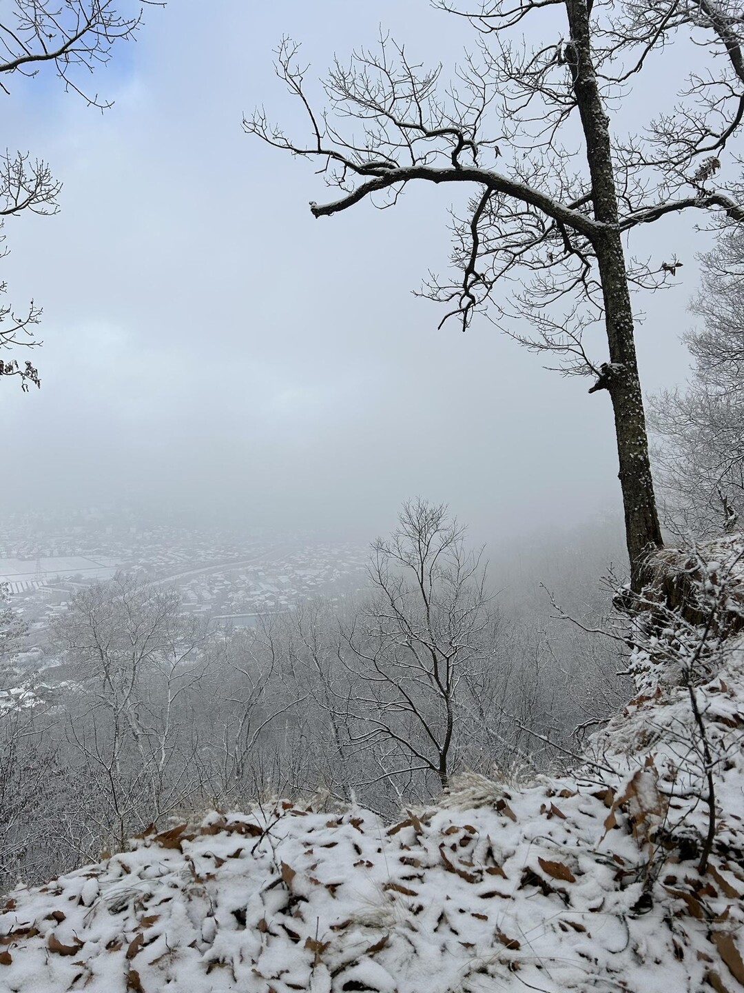 裏山ランニング。雪国出身者でもシーズン初... / COOBA / こーばさんのモーメント | YAMAP / ヤマップ