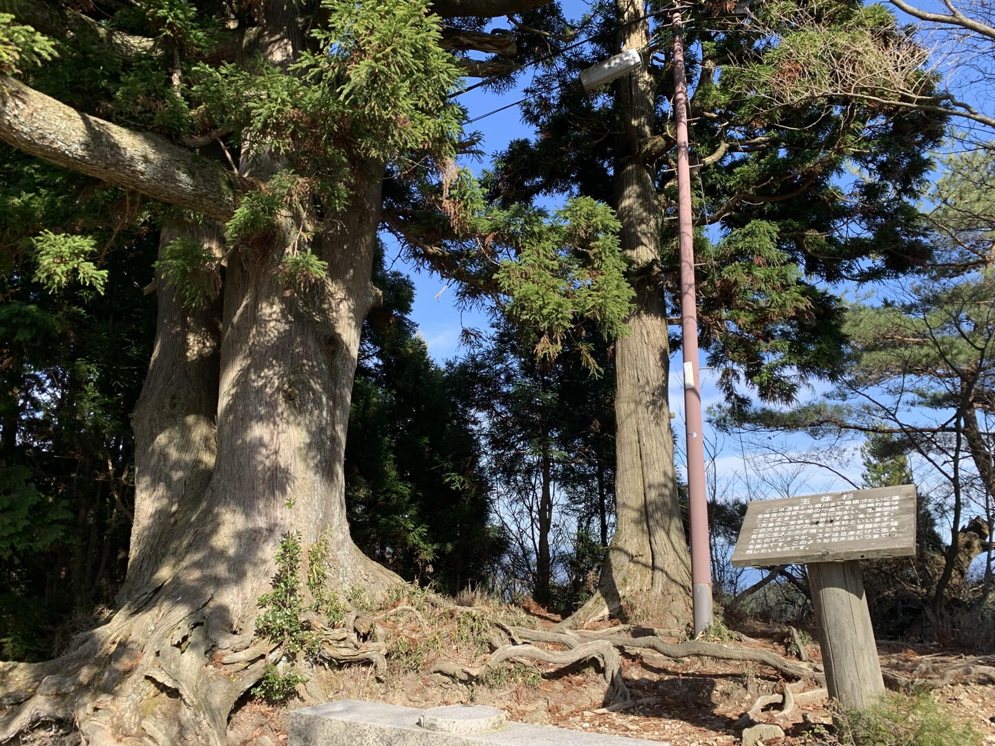 京都一周トレイルお気楽トレラン③ 比叡山（ケーブル比叡）〜 二ノ瀬駅 / Mattさんの京都一周トレイルの活動データ | YAMAP / ヤマップ