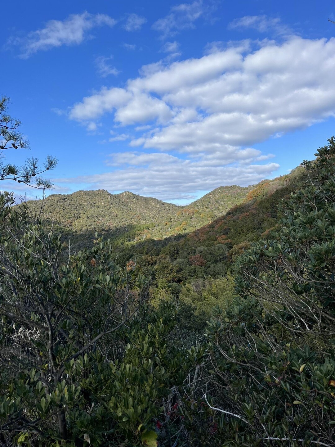 勘十郎岳・中岳・亀尾山（大海山）・東山・行者山 / おきM2さんの大海山（亀尾山）・勘十郎岳・福西山の活動データ | YAMAP / ヤマップ