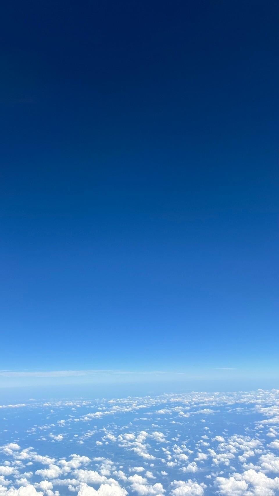 知人からいただいた画像。 癒されます、熊... / salmaさんのモーメント | YAMAP / ヤマップ