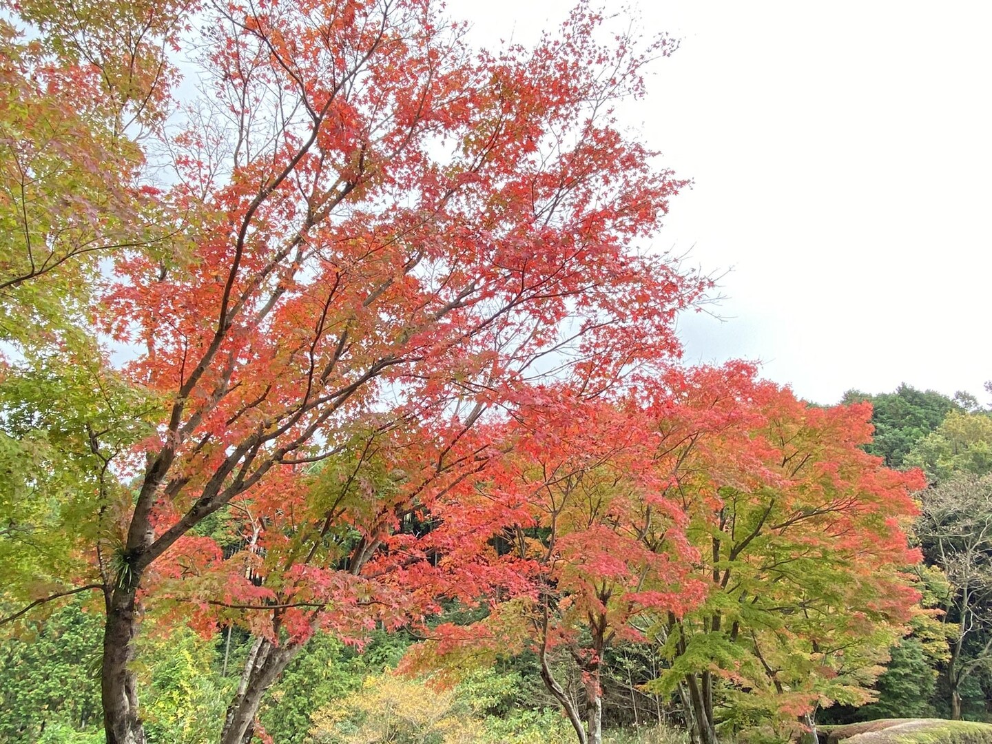 今日も山へは行かず… ただ、ドライブ ... / AZUMBOさんのモーメント | YAMAP / ヤマップ