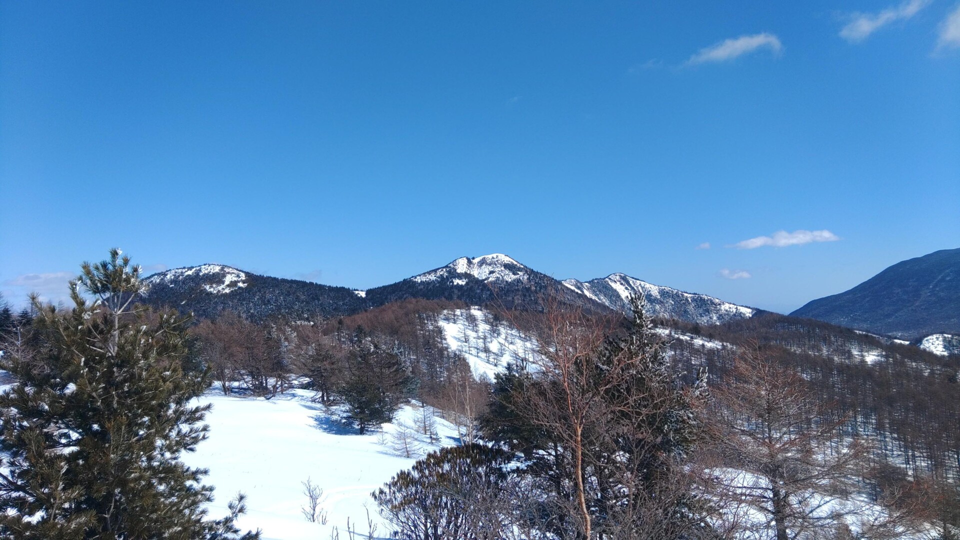 池の平BC / HIDEさんの湯ノ丸山・角間山・鍋蓋山の活動日記 | YAMAP / ヤマップ