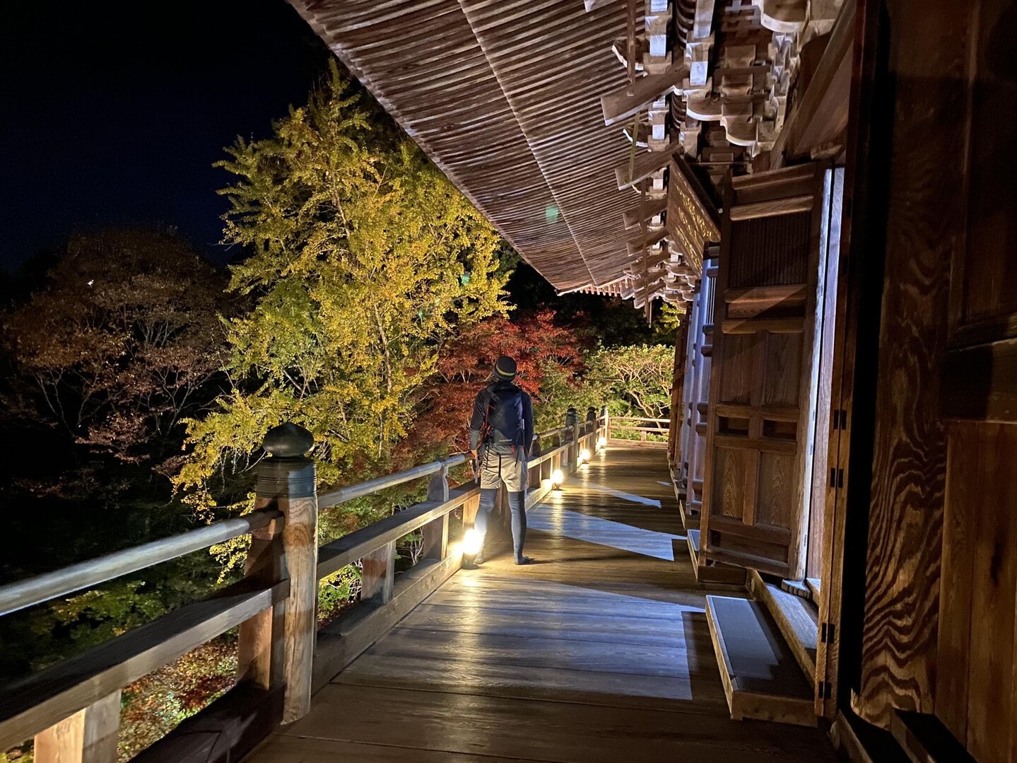 ナイト書写山・紅葉まつり🍁 / Yuki_Yamaさんの書写山・伊勢山・とんがり山の活動データ | YAMAP / ヤマップ