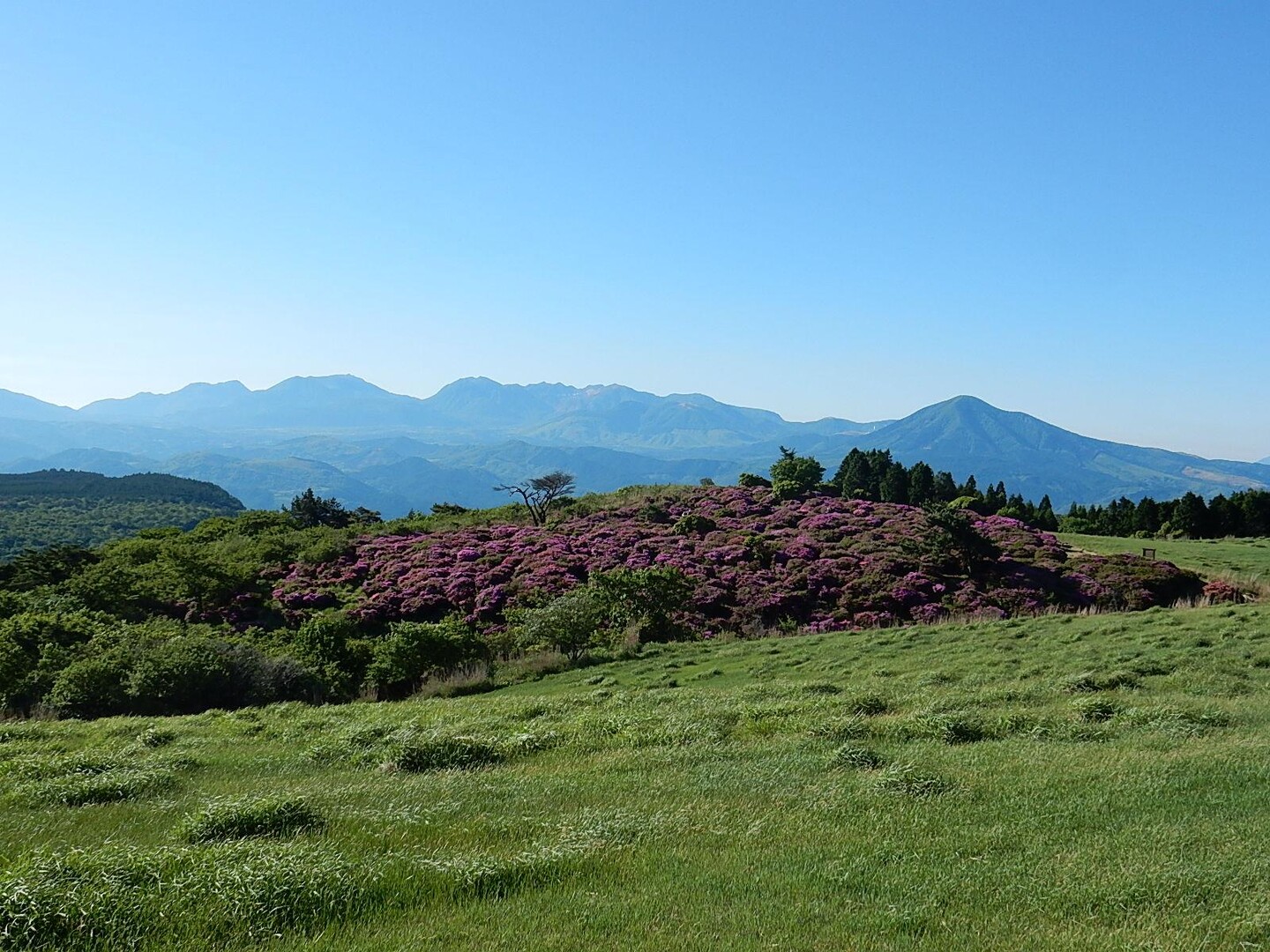 万年山（玖珠町） / Ryu 🐉さんの万年山・伐株山の活動データ | YAMAP / ヤマップ