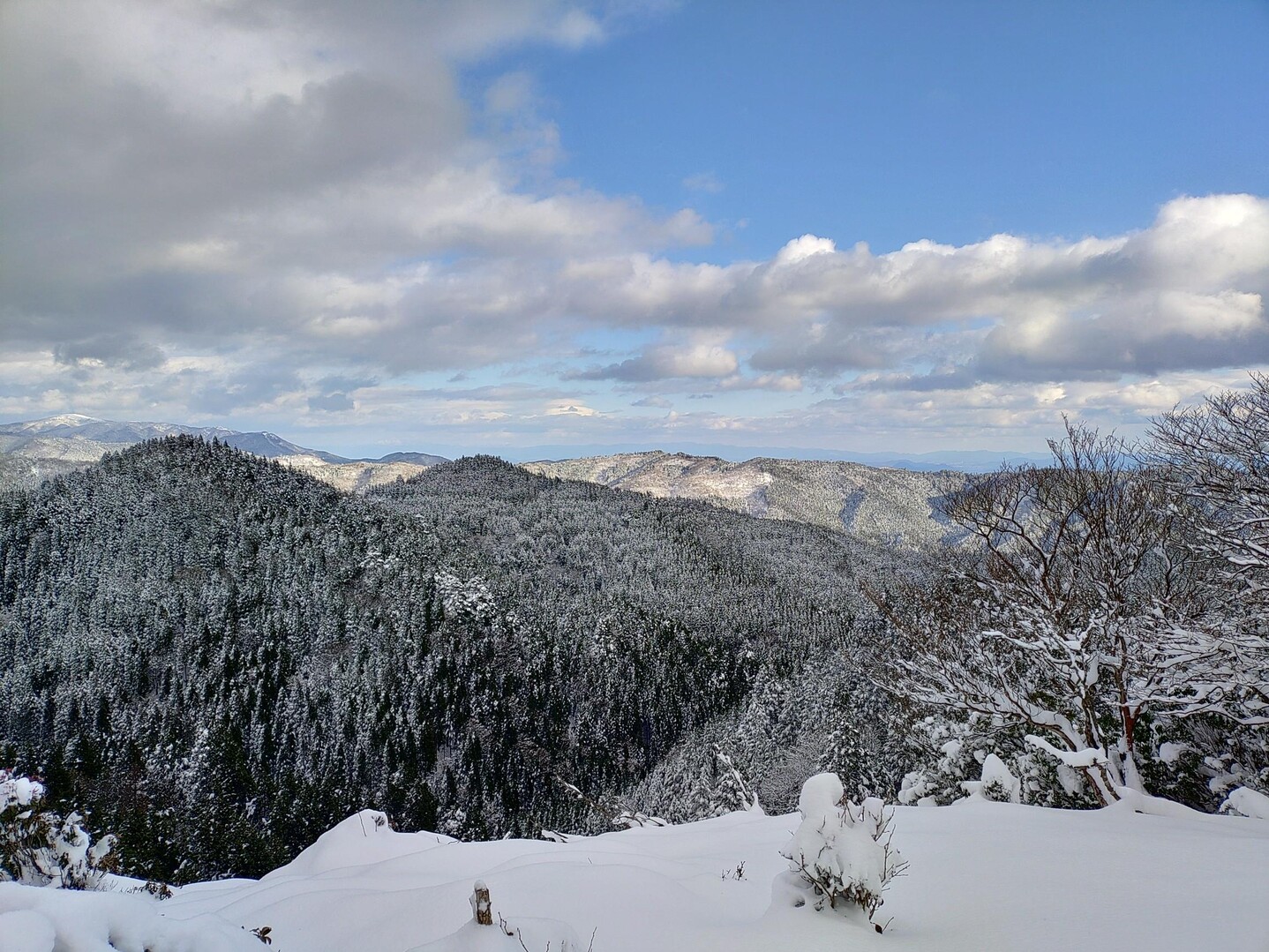 雲取山 / R.hondaさんの雲取山の活動データ | YAMAP / ヤマップ