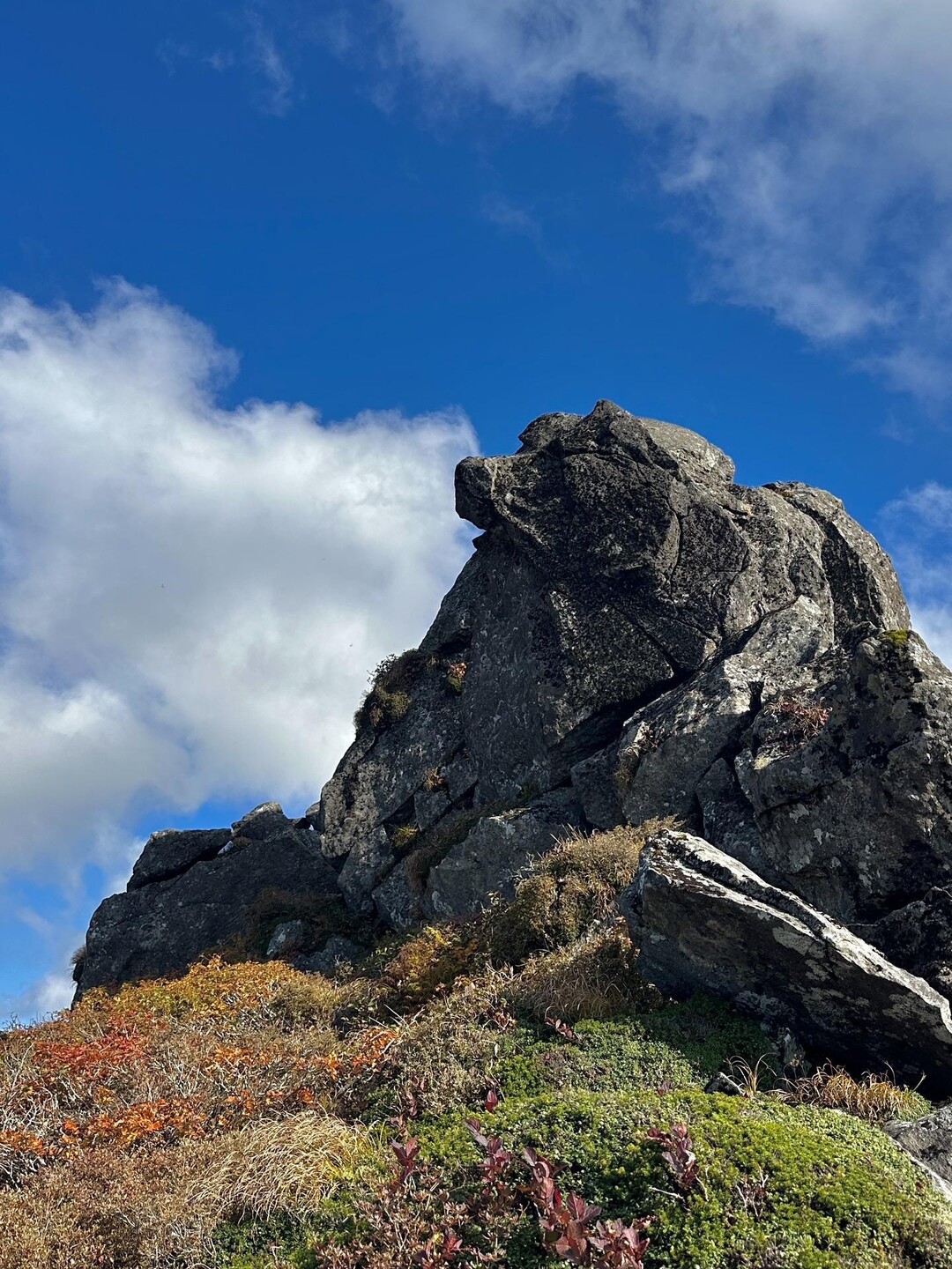 三ッ石山 / ヴァニラ★アイスさんの三ッ石山・大深岳・諸桧岳の活動日記 | YAMAP / ヤマップ