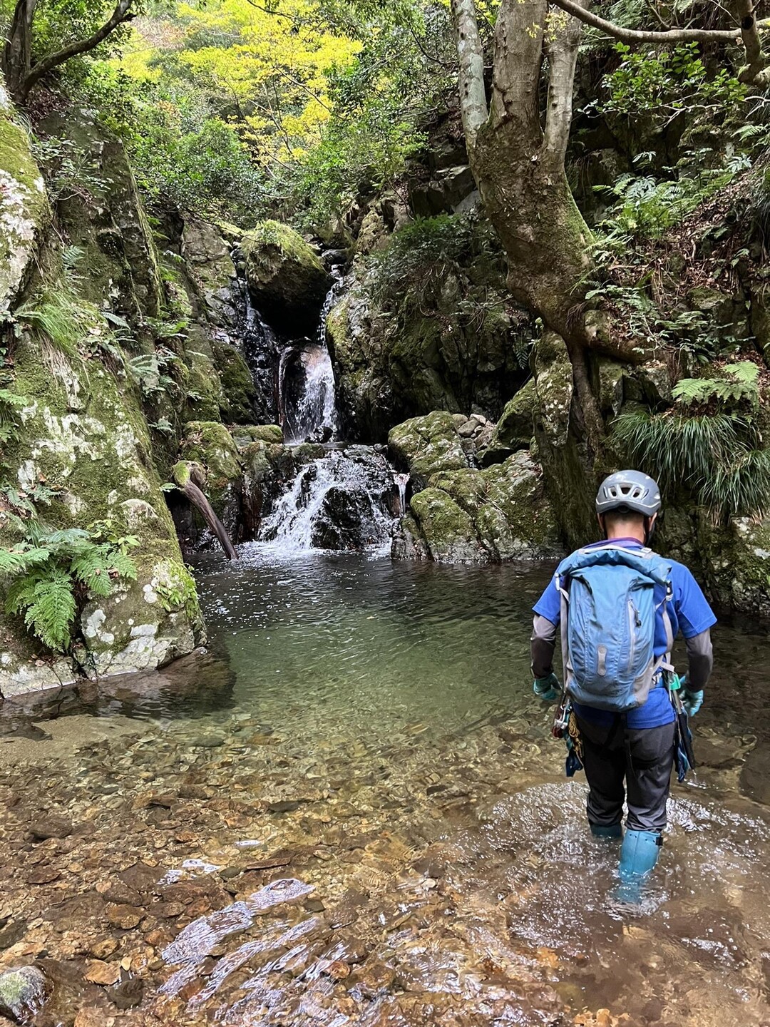 福井 沢登り / yamakazuさんのモーメント | YAMAP / ヤマップ