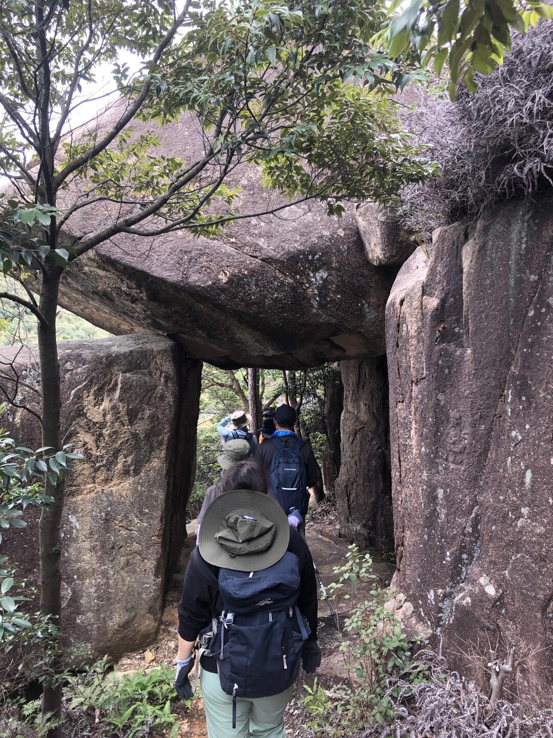 岩屋山・龍神山・陶ヶ岳（観音山） / neroliさんの火の山・陶ヶ岳の活動データ | YAMAP / ヤマップ