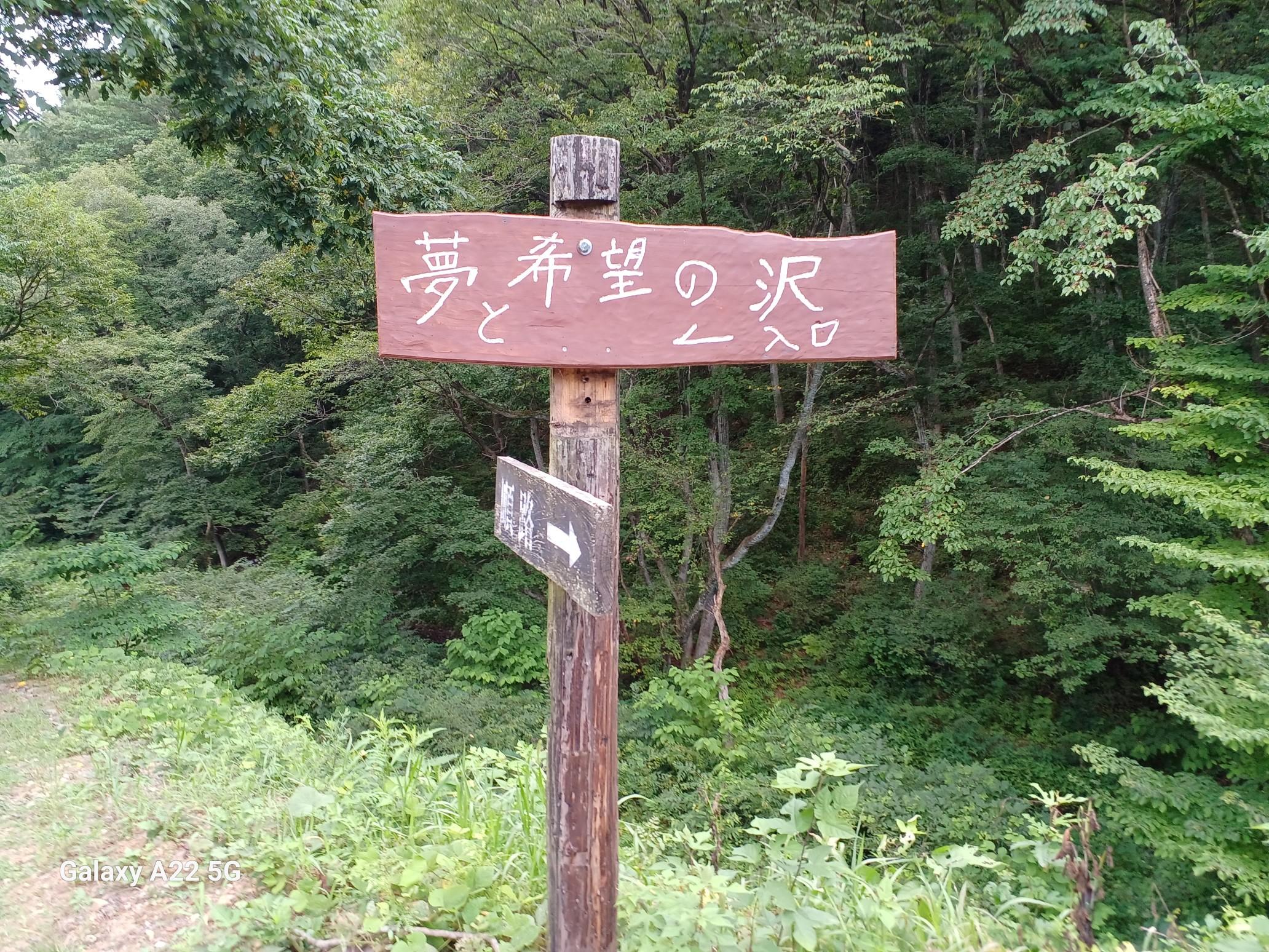 森の妖精part2 天狗山-2025-08-16 / 蘭丸クンさんの天狗山の活動データ | YAMAP / ヤマップ