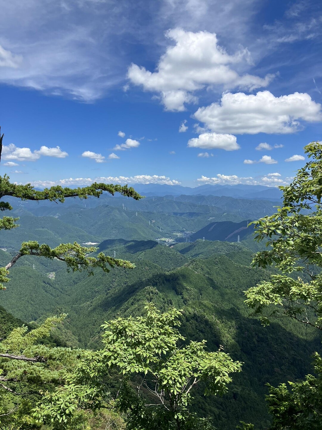 明神山（三ツ瀬明神山） / Fjとしさんの明神山（三ツ瀬明神山）の活動データ | YAMAP / ヤマップ