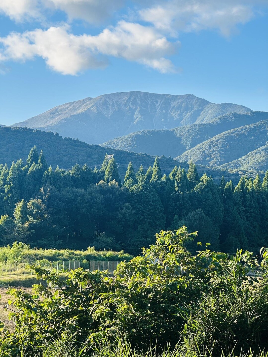 ⛰️伊吹山 写真集🤣 興味ある方は ... / 🔺MASAPさんのモーメント | YAMAP / ヤマップ