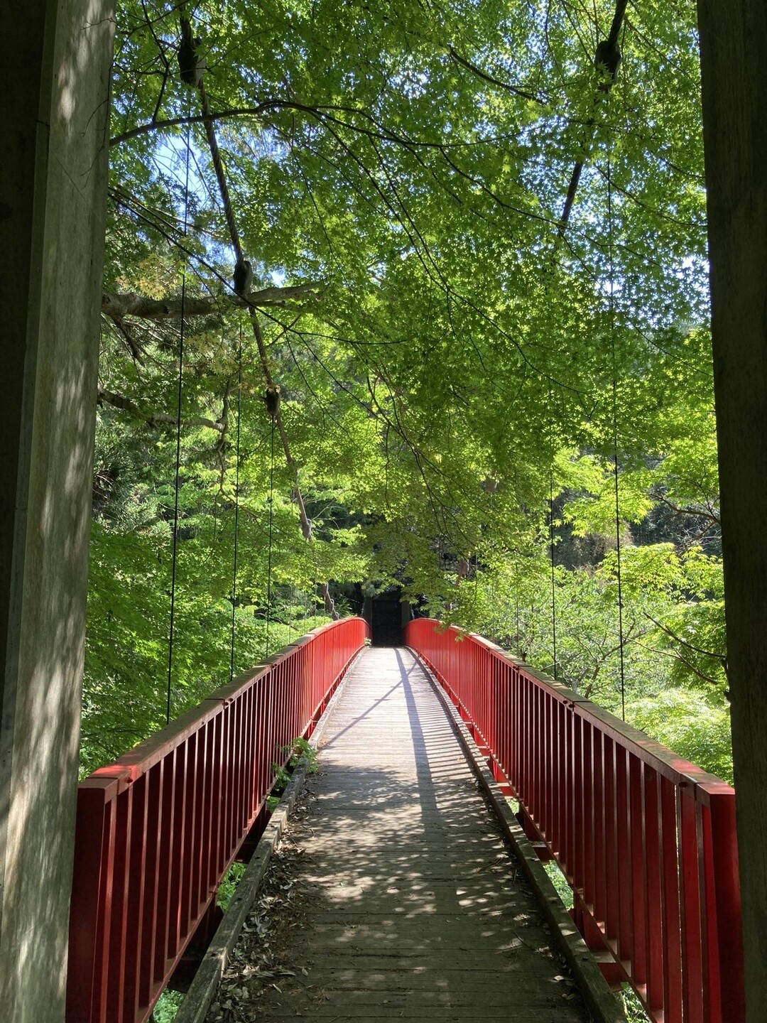 王滝渓谷 ウォーキング / J Smileさんのウォーキングの活動データ | YAMAP / ヤマップ