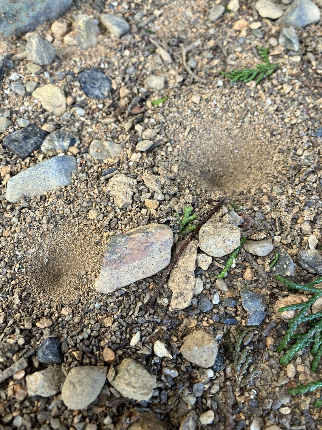 2022.09.24(土) 06:01 / 小楊生煎さんのモーメント | YAMAP / ヤマップ