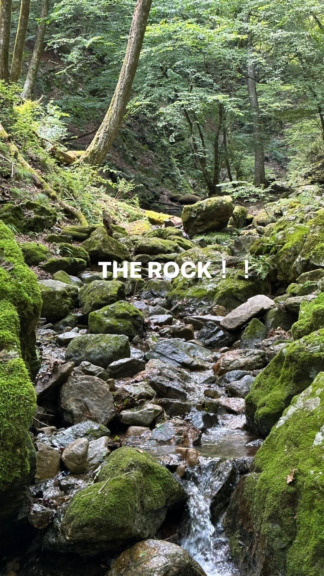 THE ROCK！RUN！！滝本駅→御岳山→ロックガーデンのピストン / HIROYUKiさんの大岳山・御岳山・御前山の活動データ | YAMAP / ヤマップ