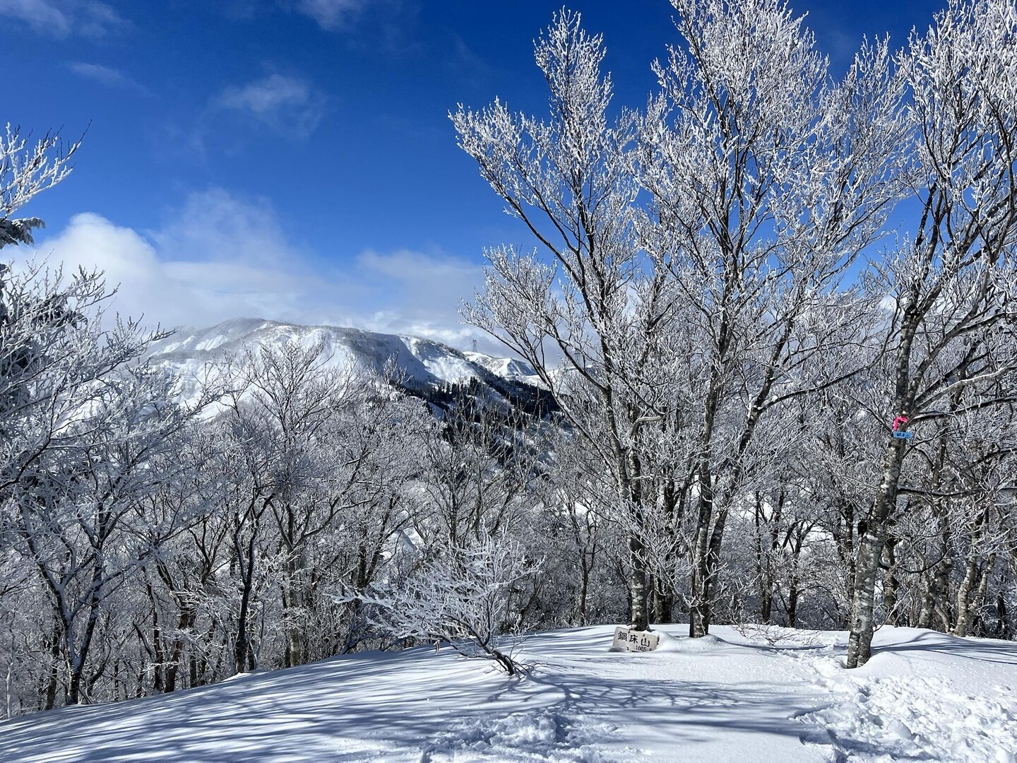 新越中百山・道谷山〜鍋床山〜宮谷ノ頭 / mierinさんの猿ヶ山・三方山・袴腰山の活動データ | YAMAP / ヤマップ