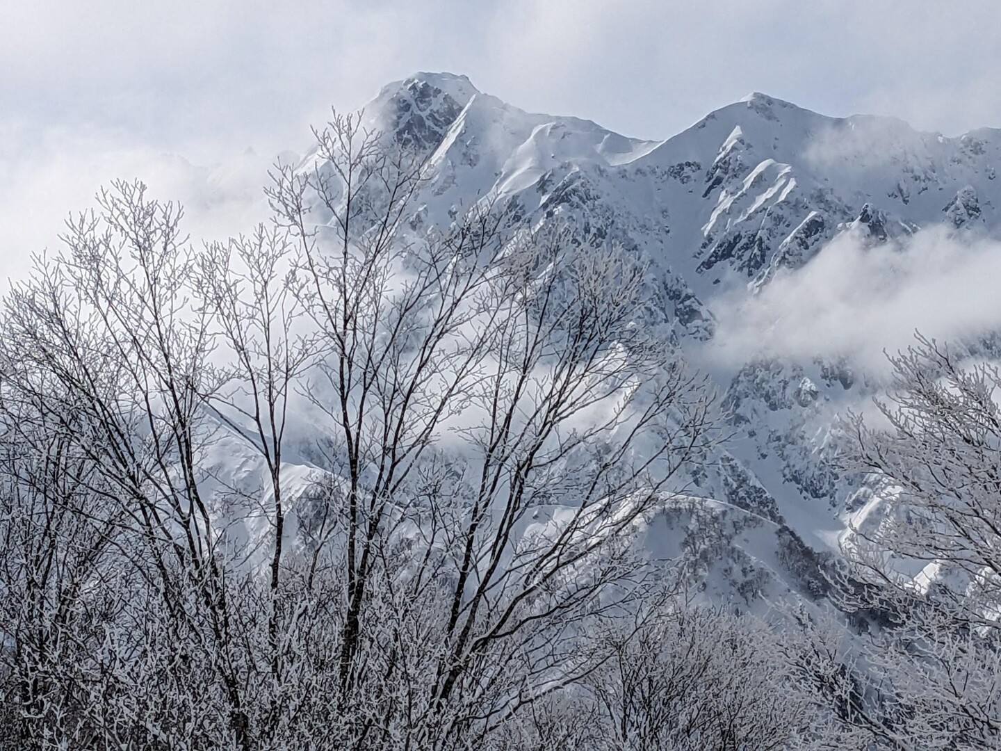 HAKUBA47-2024-03-07今シーズン最後のスキー？ / サンキライさんの白馬岳・小蓮華山の活動データ | YAMAP / ヤマップ