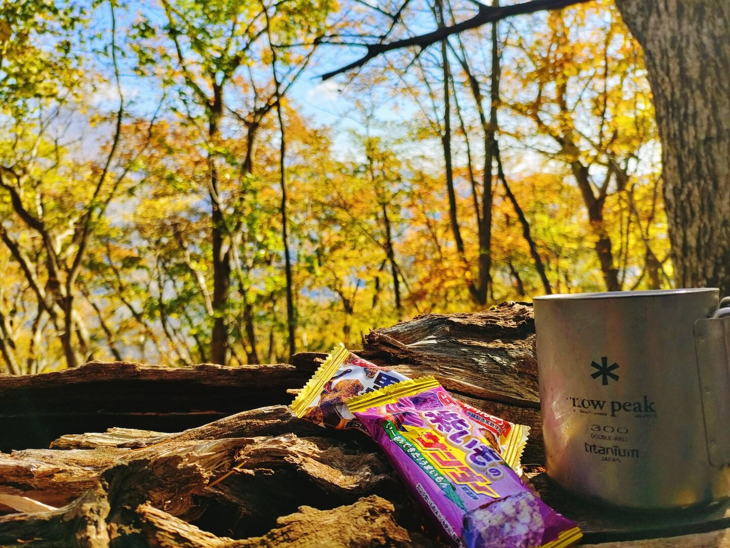 Drive＆Hike🍁南平山 / gontaさんの南平山の活動データ | YAMAP / ヤマップ