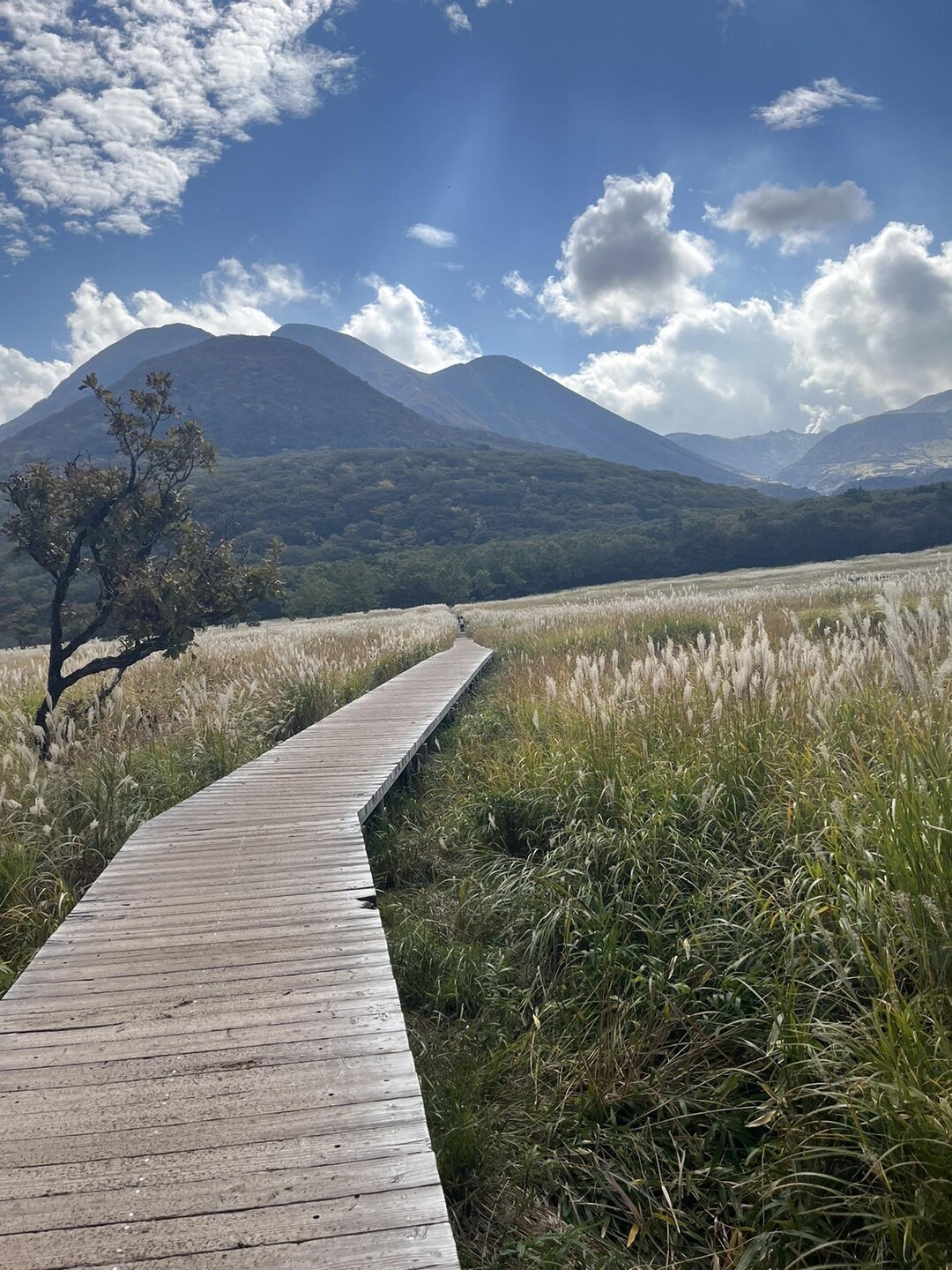 三俣山（西峰）・三俣山（Ⅳ峰）・三俣山（本峰） / まゆjinさんの九重山（久住山）・大船山・星生山の活動データ | YAMAP / ヤマップ