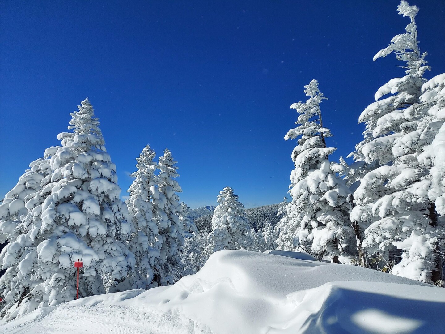 日曜日の万座温泉スキー場、晴天。 青空が... / kenkenさんのモーメント | YAMAP / ヤマップ