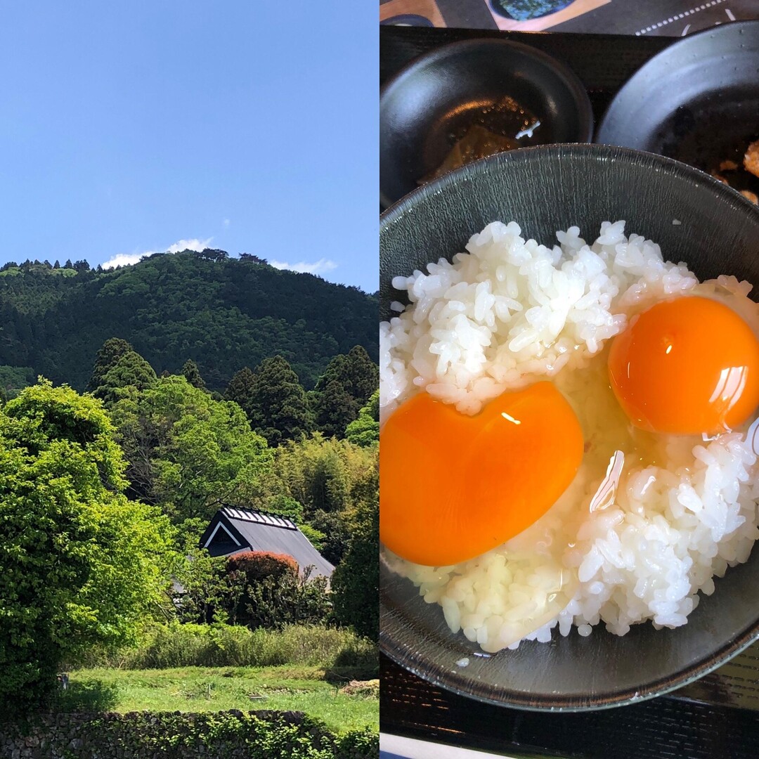 大阪50山 鴻応山＆TKG / saromanさんの能勢妙見山・歌垣山・天台山の活動データ | YAMAP / ヤマップ