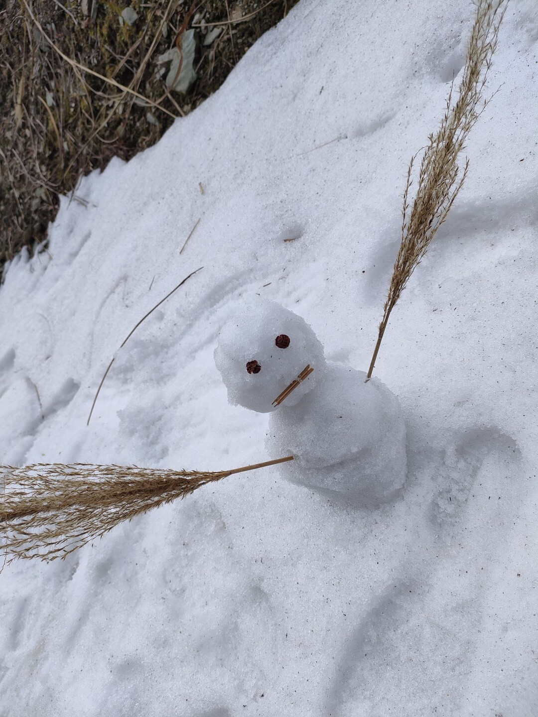 残雪から産まれた雪だるま！美郷〜神山ルー... / bowsunさんのモーメント | YAMAP / ヤマップ