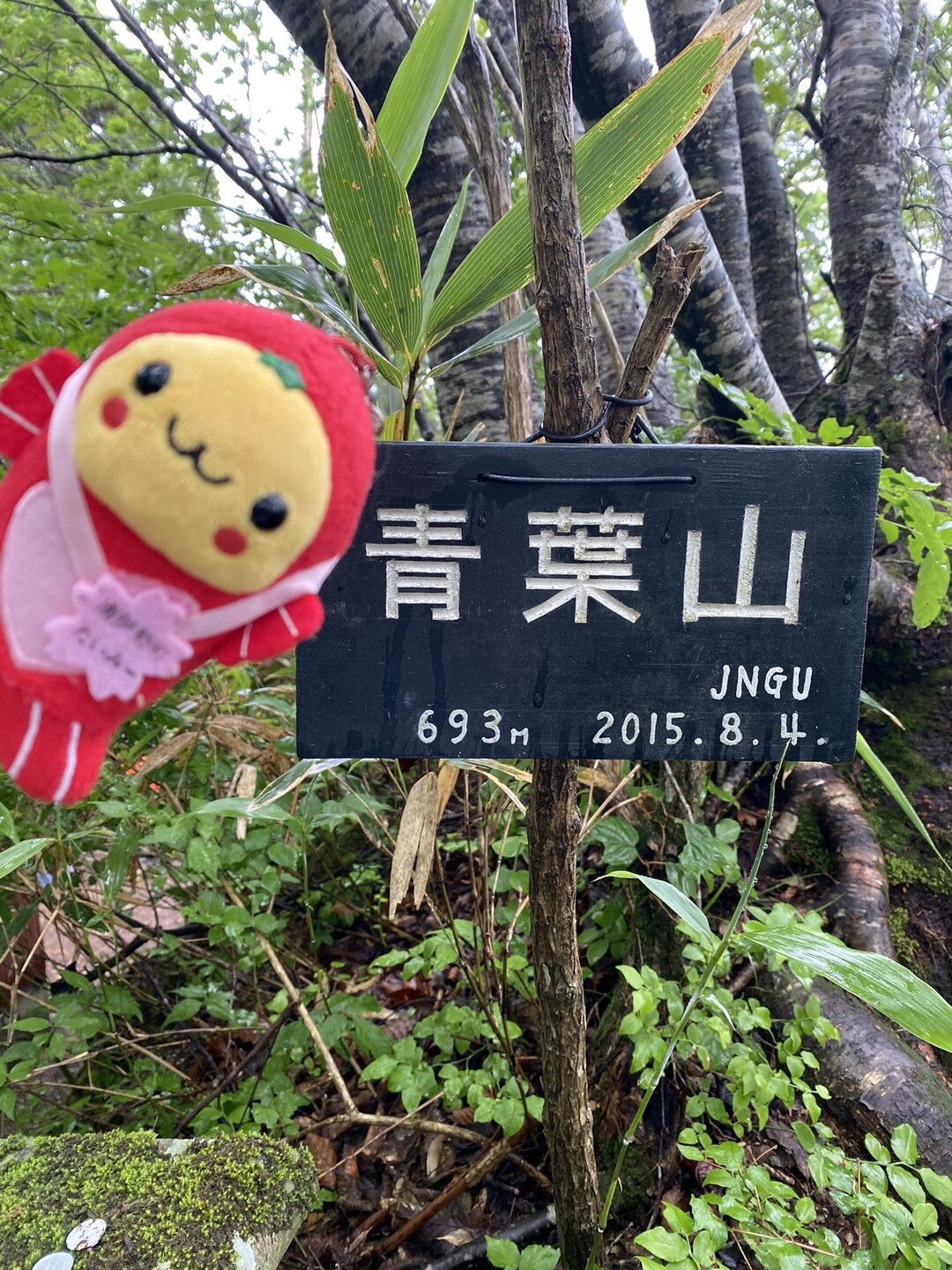 若狭富士🗻東峰 / chiiiyanさんの青葉山の活動日記 | YAMAP / ヤマップ