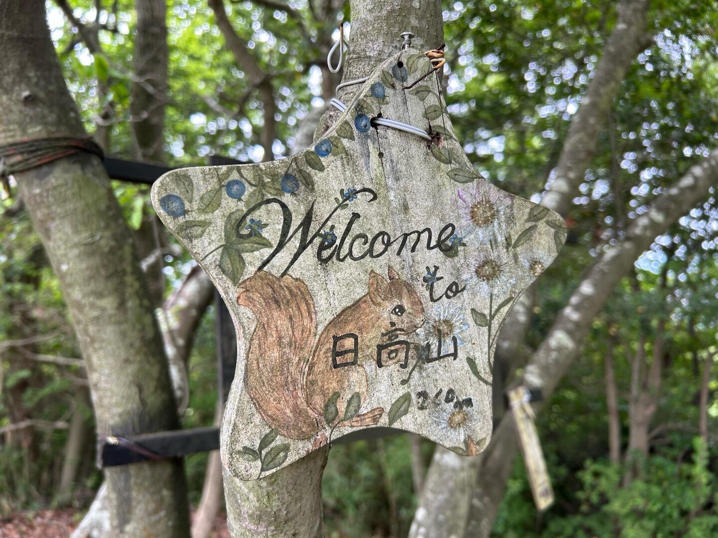 星田連山縦走 / Shintaさんの交野山・国見山の活動データ | YAMAP / ヤマップ