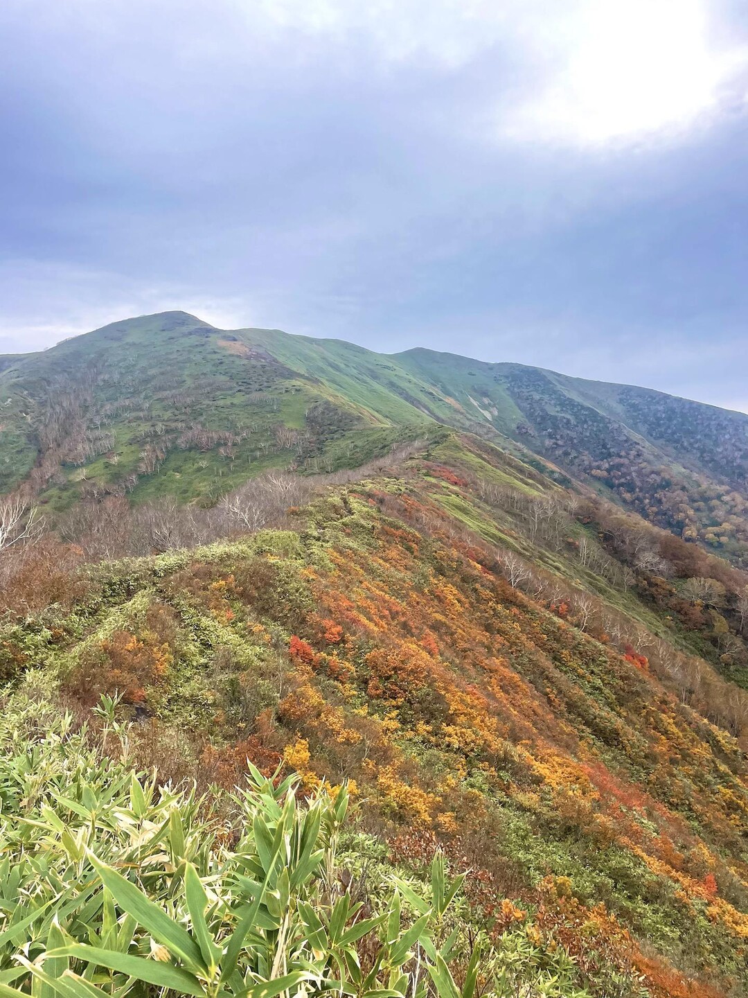 【平標山・仙ノ倉山】登山135回目 / tahtaさんの仙ノ倉山・平標山・大源太山の活動データ | YAMAP / ヤマップ