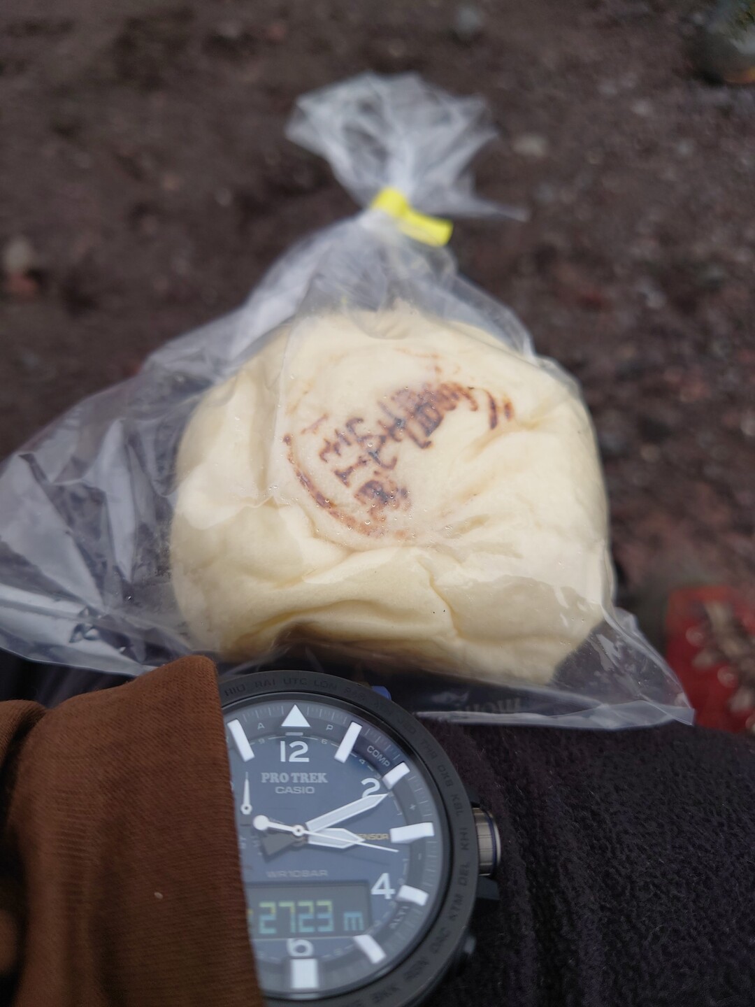 名物？！話題のクリームパンをGET / unaさんのモーメント | YAMAP / ヤマップ