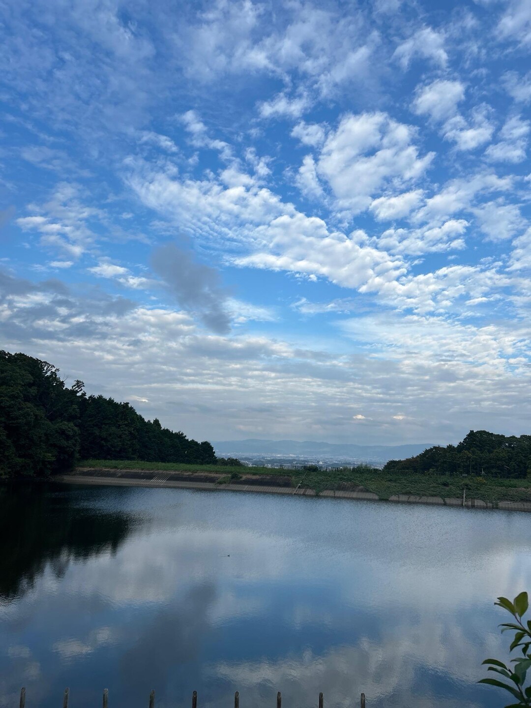 二上山（雄岳）・二上山（雌岳）2024.10.27 / yumi minさんの葛城修験エリアマップ（二上山周辺）の活動データ | YAMAP / ヤマップ