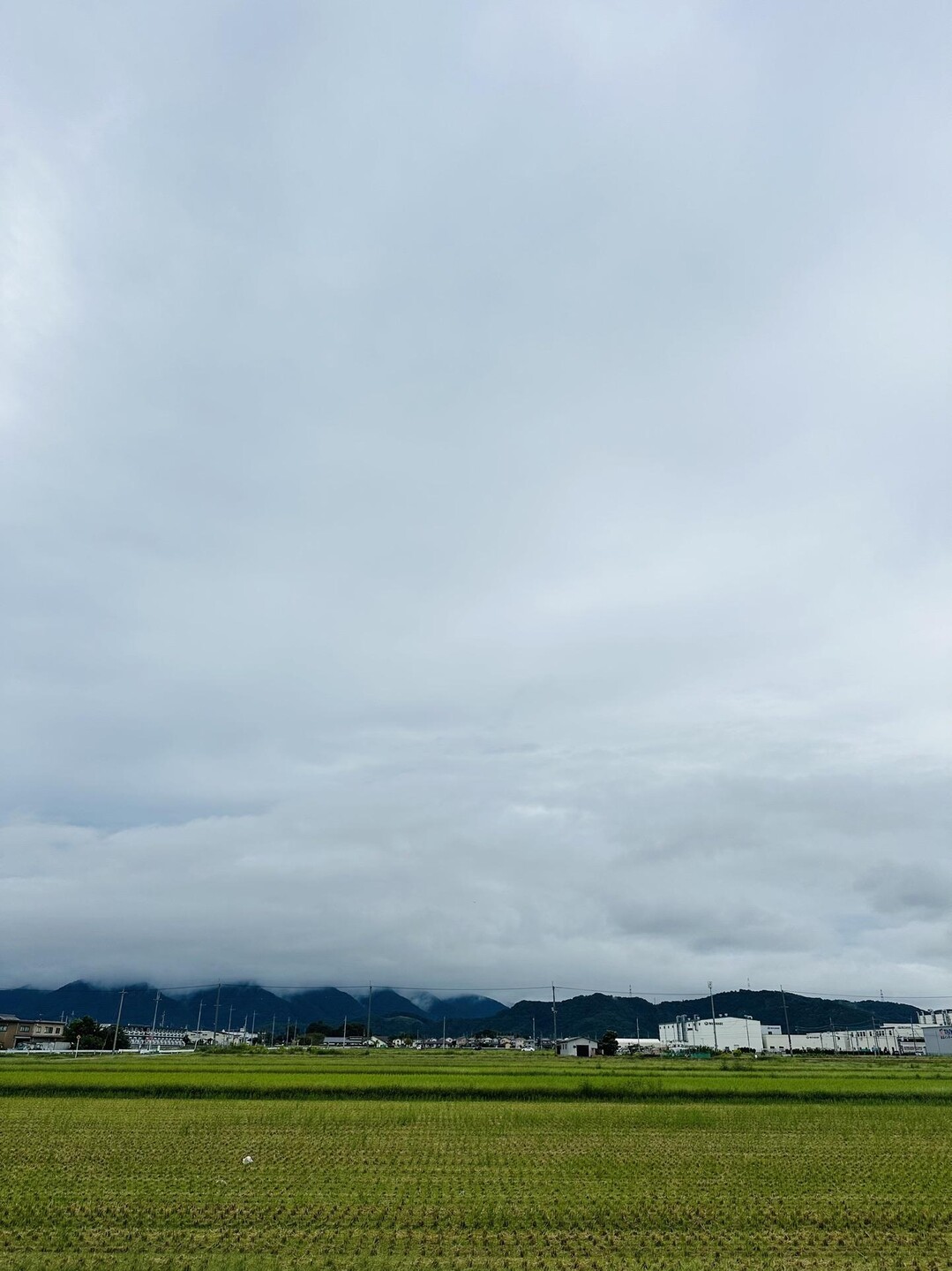 10/8 (Tue.) こんにちわ 今... / 🔺MASAPさんのモーメント | YAMAP / ヤマップ