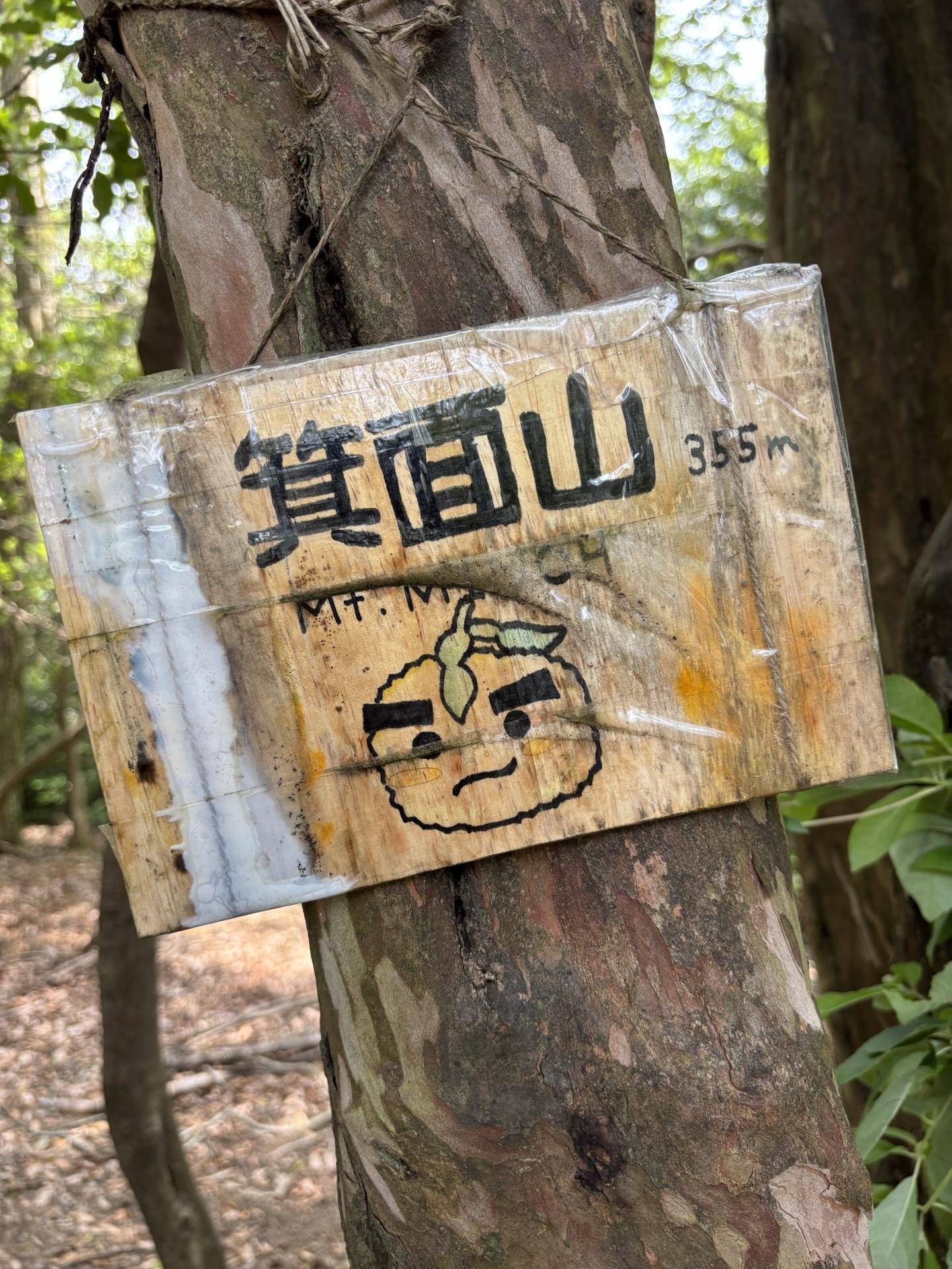 五月山・六個山・箕面山・しおんじ山 / MKさんの六個山・鉢伏山・明ヶ田尾山・五月山の活動データ | YAMAP / ヤマップ