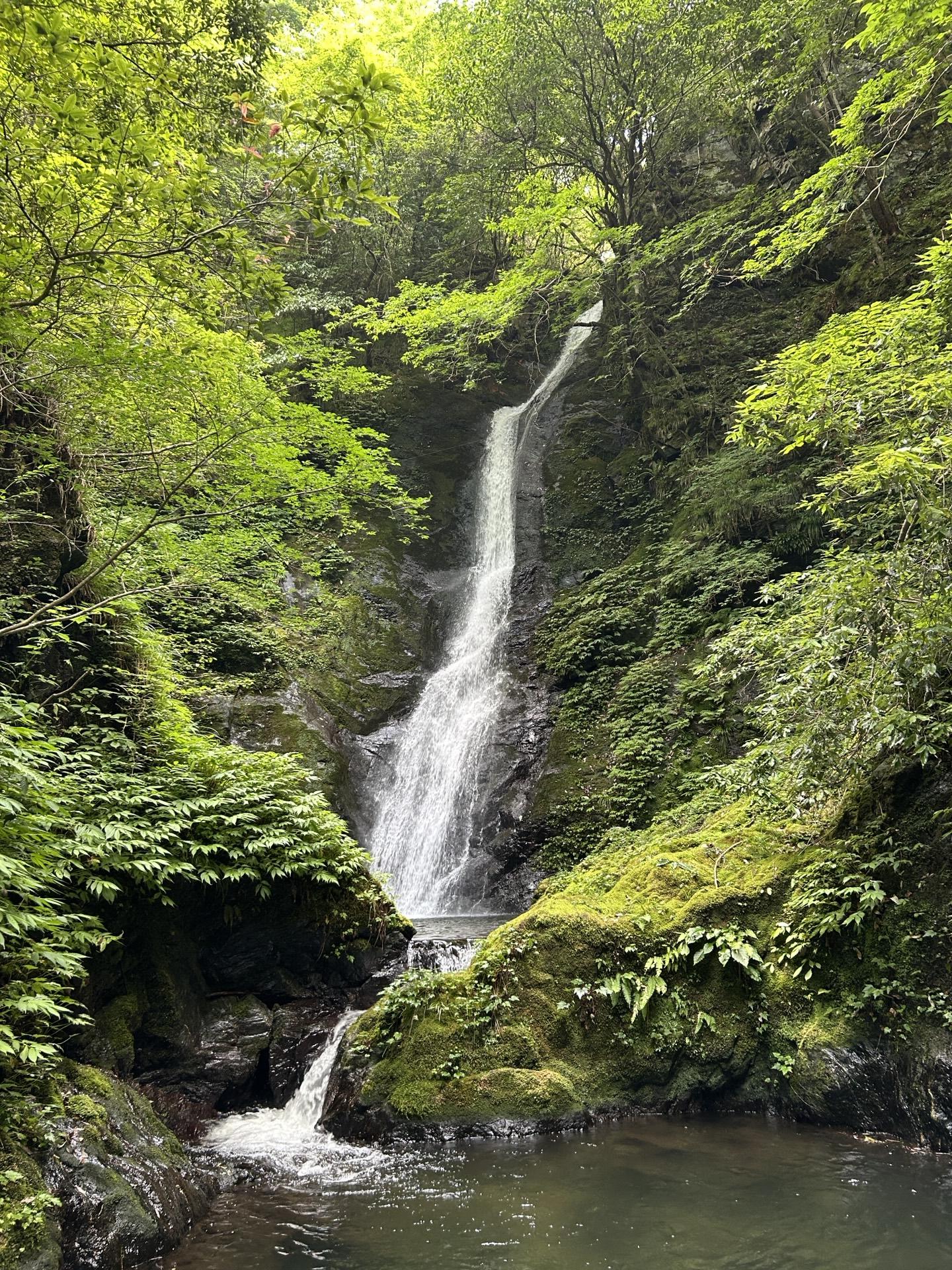 頭巾山 / chiekoさんの頭巾山の活動データ | YAMAP / ヤマップ