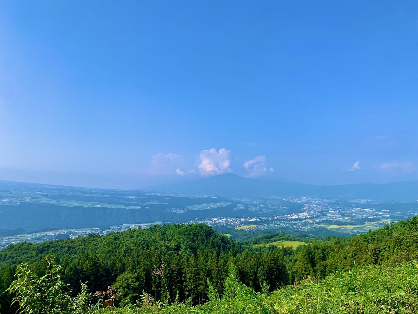 雨乞山 / maiさんの鉱石山・木賊山の活動データ | YAMAP / ヤマップ