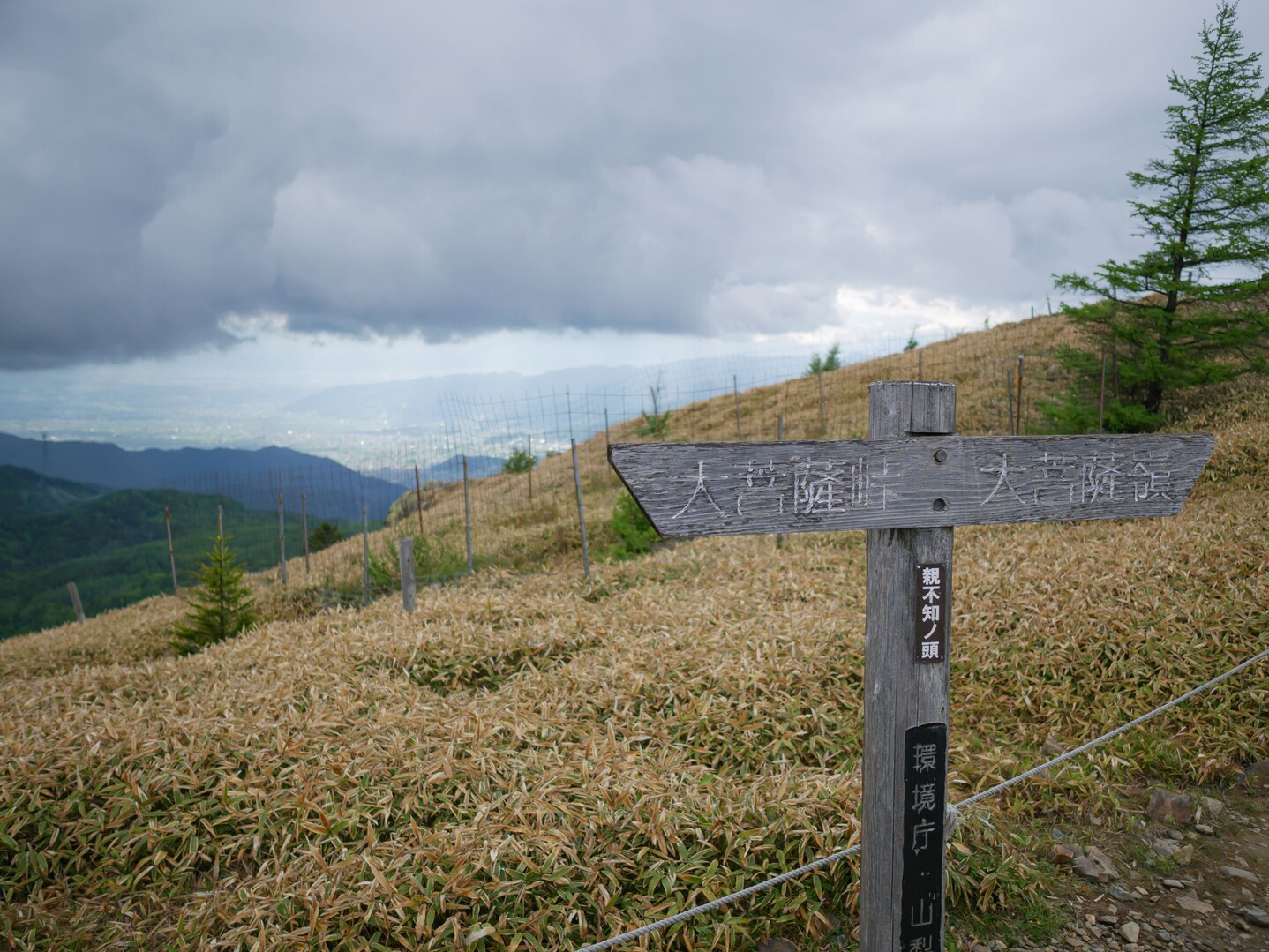 大菩薩嶺 / MOROさんの大菩薩嶺・鶏冠山・大マテイ山の活動データ | YAMAP / ヤマップ