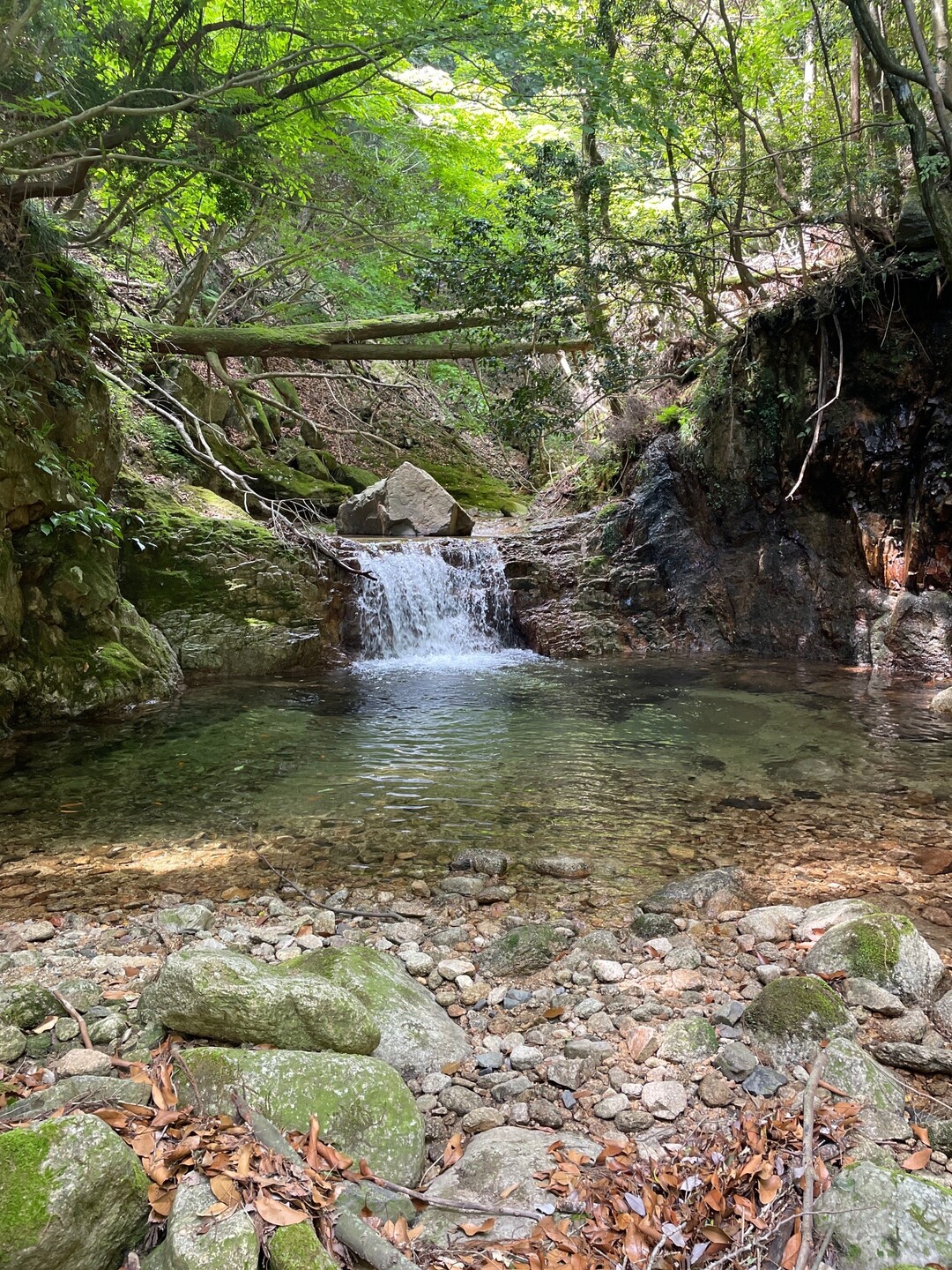 Marry🐾さんの投稿したフィールドメモ | YAMAP / ヤマップ