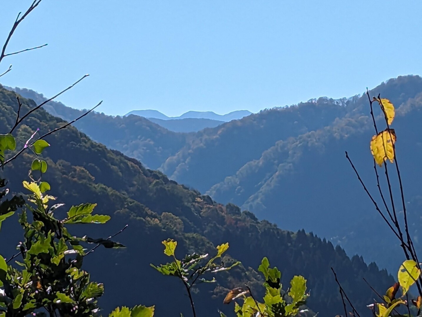 口三方岳🍁途中下車⤵️😅 / kaiさんのモーメント | YAMAP / ヤマップ