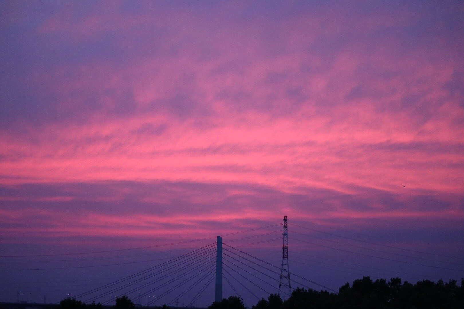 昨日の夕方は空がとても綺麗でした / さくちゃんさんのモーメント | YAMAP / ヤマップ