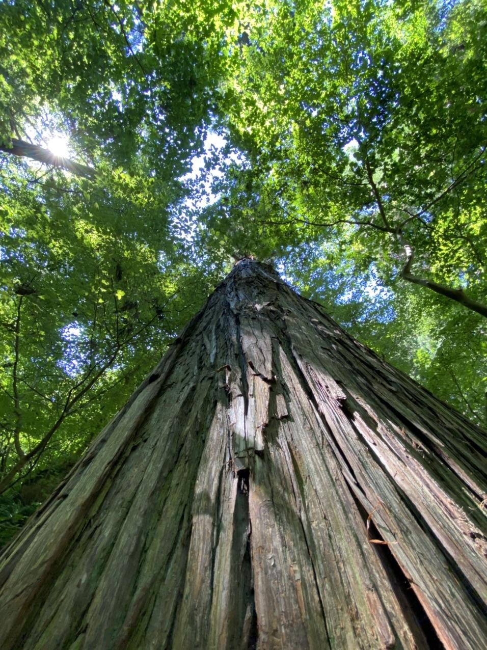 makimakiのページ | YAMAP / ヤマップ