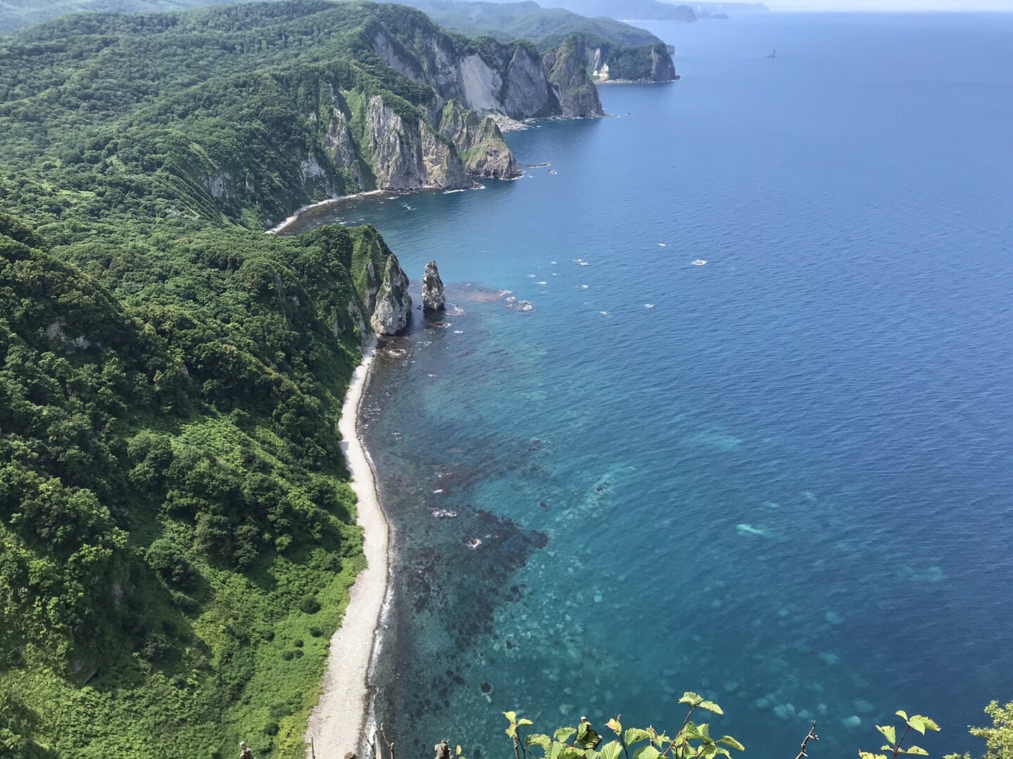 尻場山 / saonさんの尻場山の活動データ | YAMAP / ヤマップ