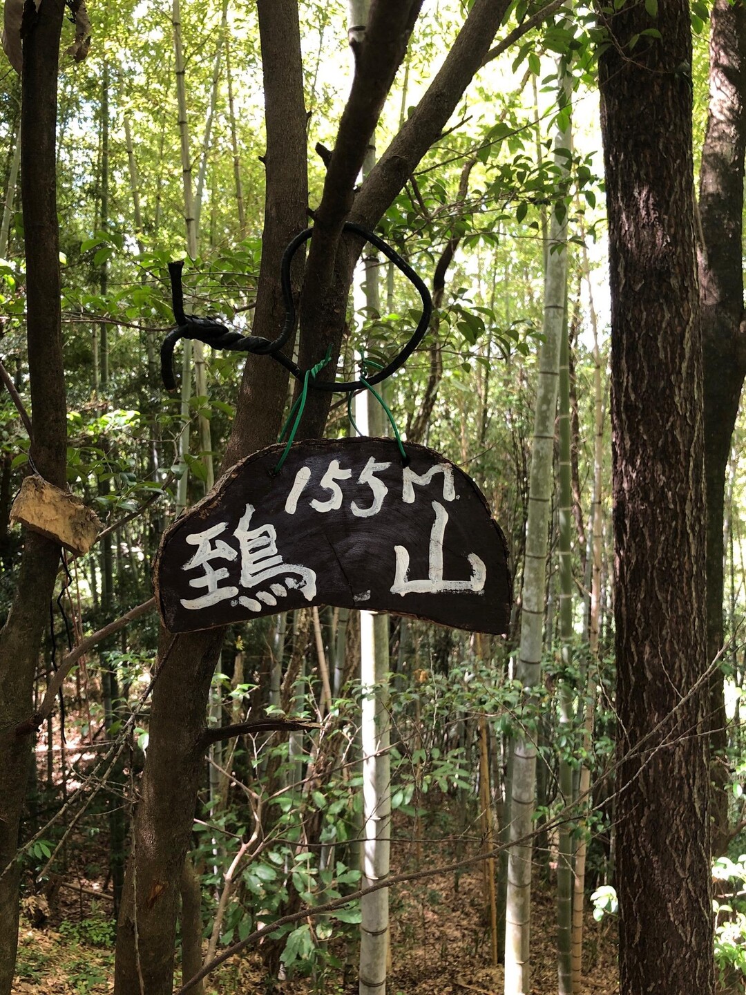 鵄山 / Zak-Sanさんの矢田丘陵・法隆寺の活動データ | YAMAP / ヤマップ