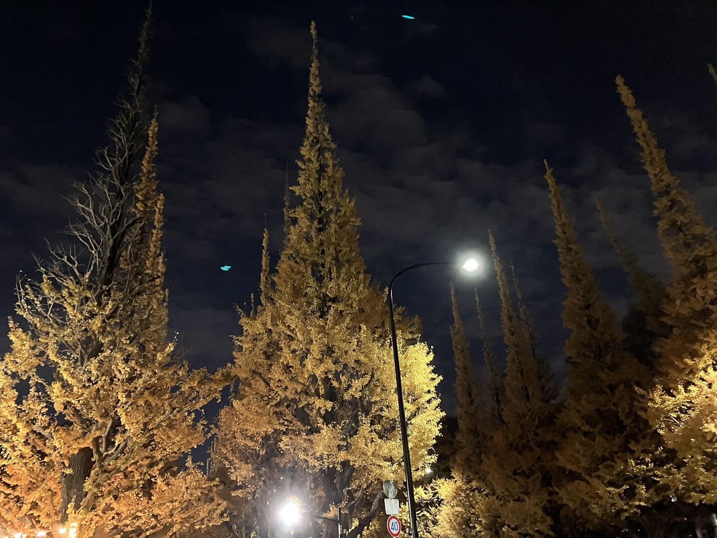 外苑の銀杏並木のライトアップ のんびり... / ayanonさんのモーメント | YAMAP / ヤマップ