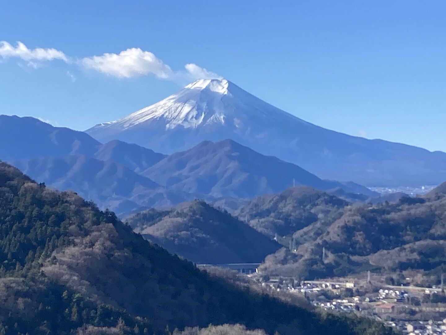 菊花山〜御前山周回（大月駅〜猿橋駅） / maoさんの倉岳山・高畑山・九鬼山の活動データ | YAMAP / ヤマップ