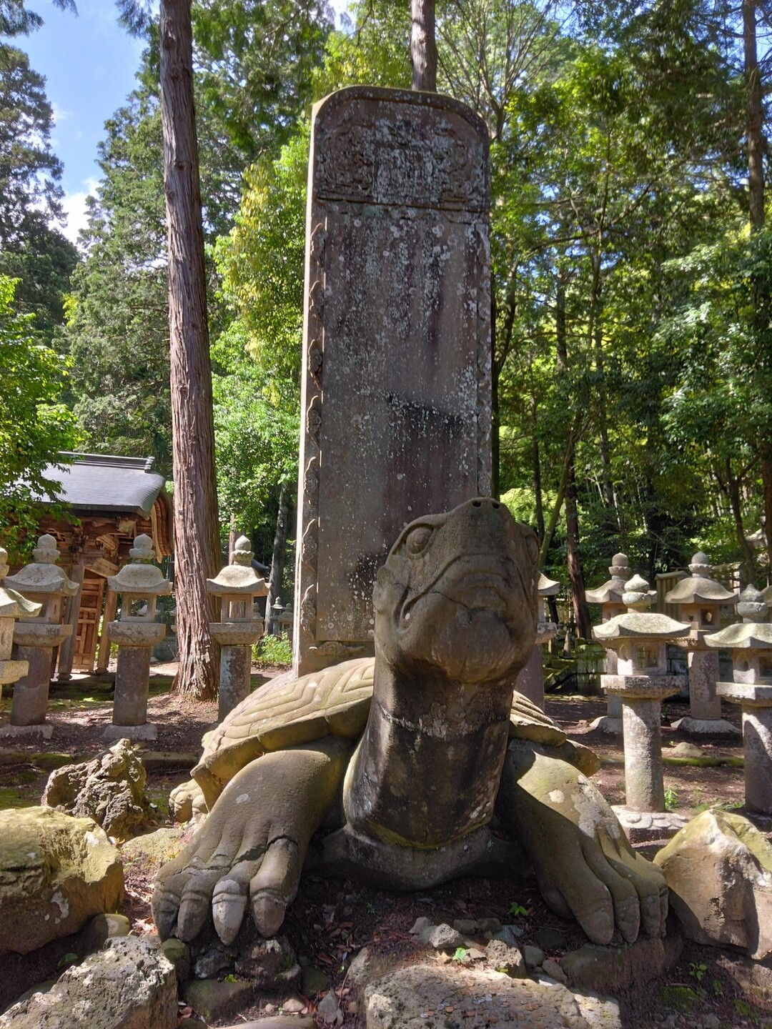 🌿🐢月照寺🐢 💚紫陽花求めて🌿🚶💚 / hamukoさんのウォーキングの活動データ | YAMAP / ヤマップ